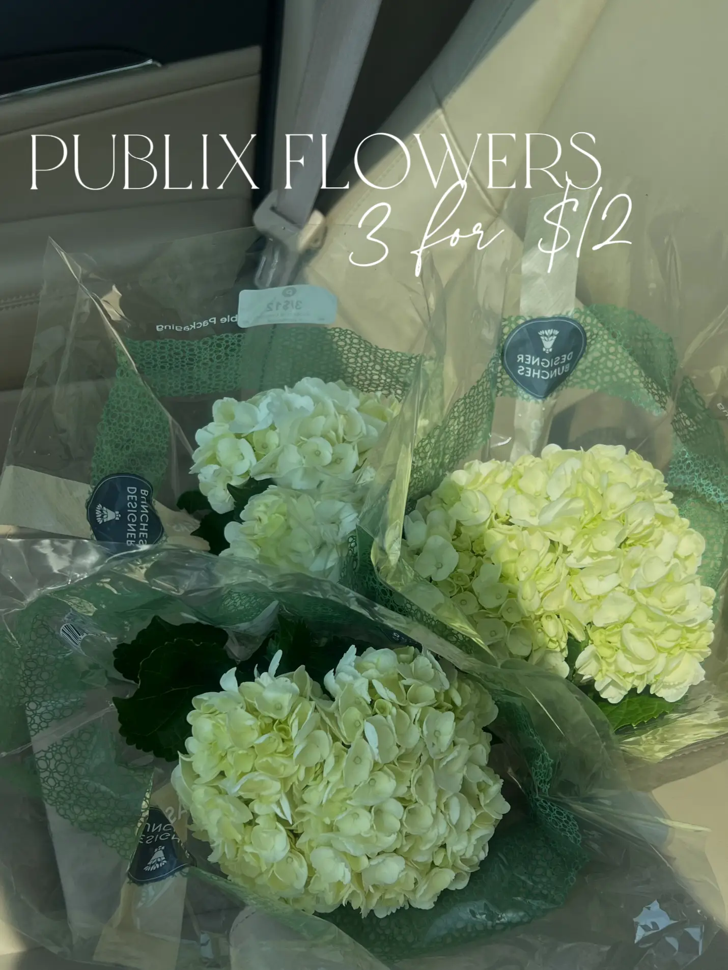 Publix flowers are 3 for $12 | Gallery posted by nikkibrown | Lemon8