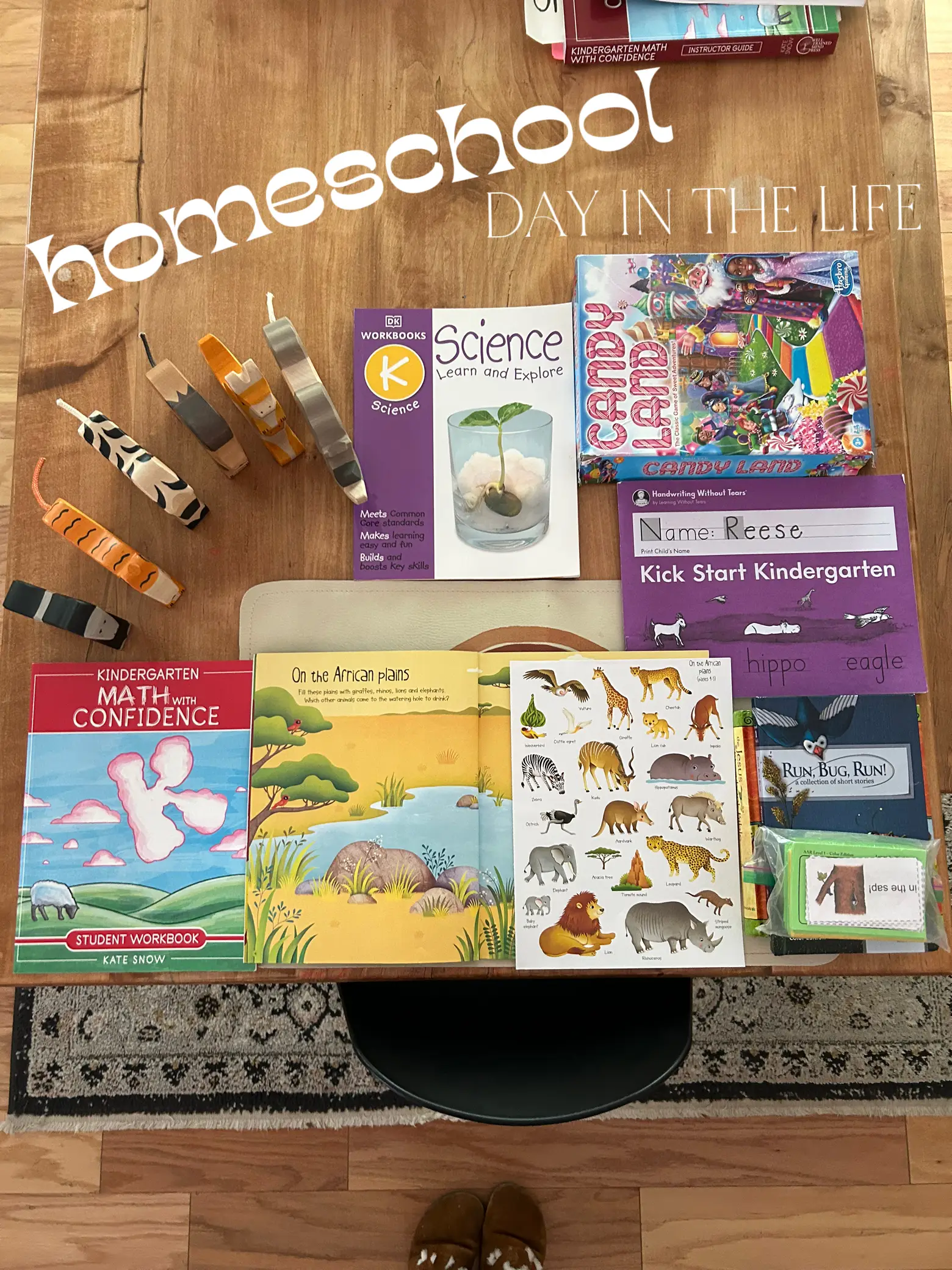 HOMESCHOOL day in the life 🏡 ️ | Gallery posted by Courtney Tice | Lemon8