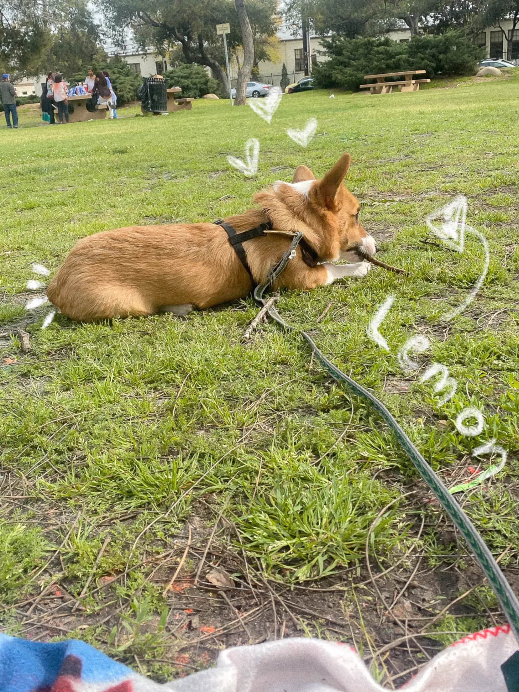 Don’t let burnout win. | Gallery posted by Abbey Howe | Lemon8