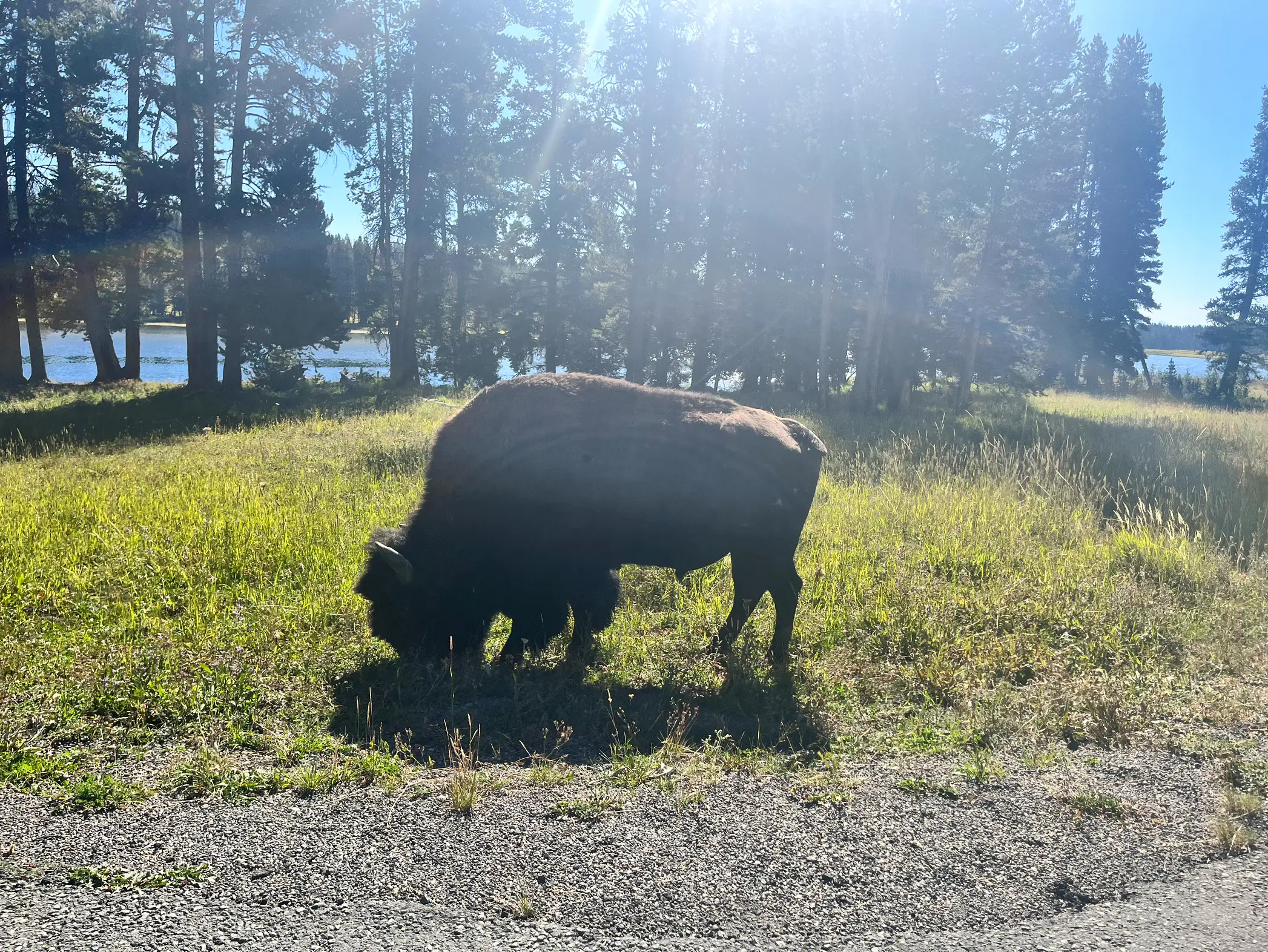 BUCKET LIST CAMPING— Yellowstone, Wy 🏕️ | Gallery posted by Shandi Bush ...