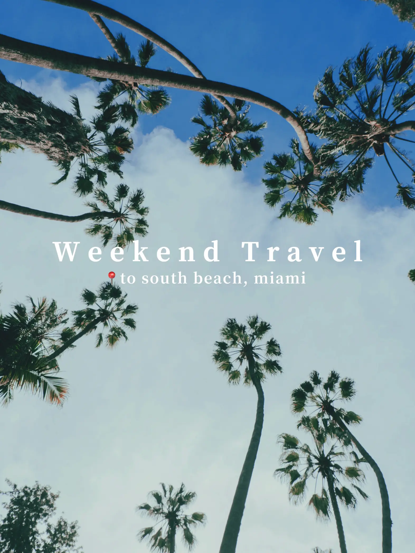 Miami tips needed!!! ️ | แกลเลอรีที่โพสต์โดย alexdeanmedia | Lemon8