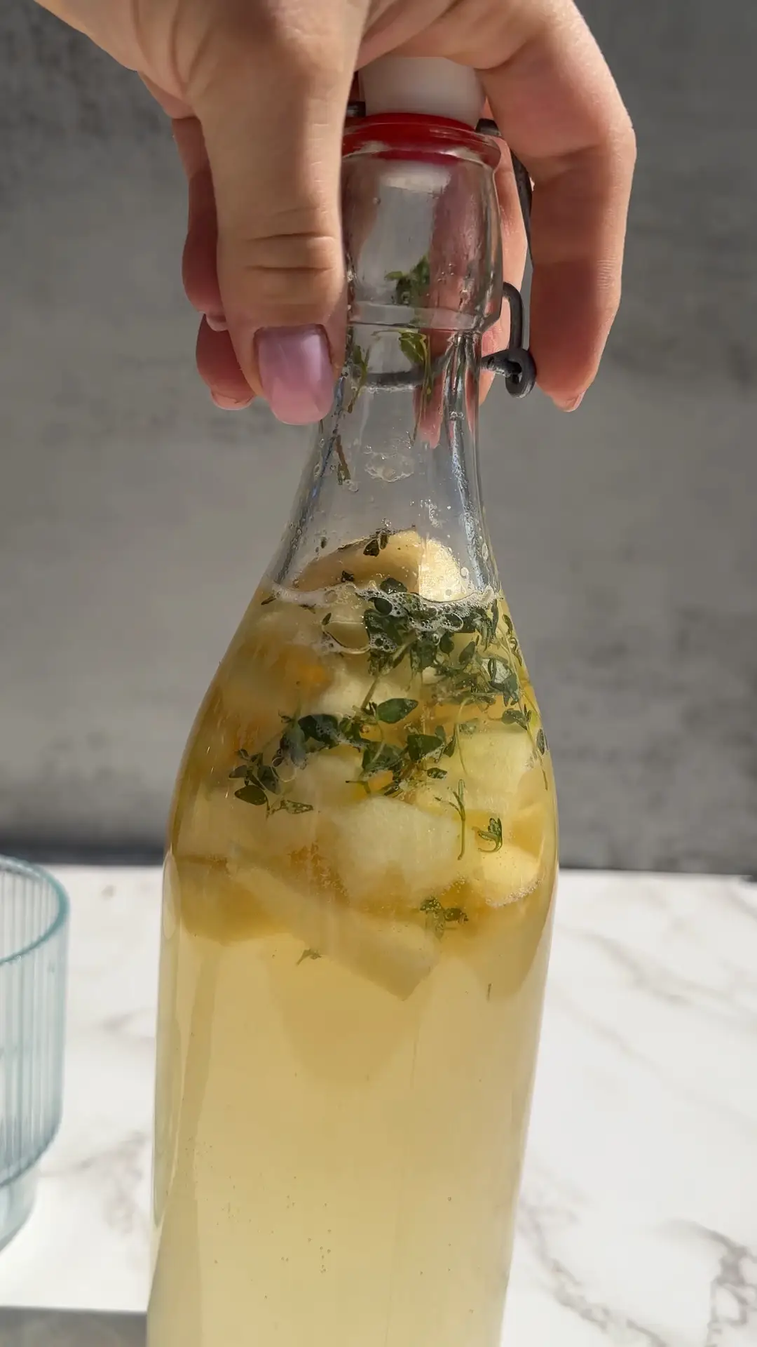 Water kefir | Video published by Lizasfarmhouse | Lemon8