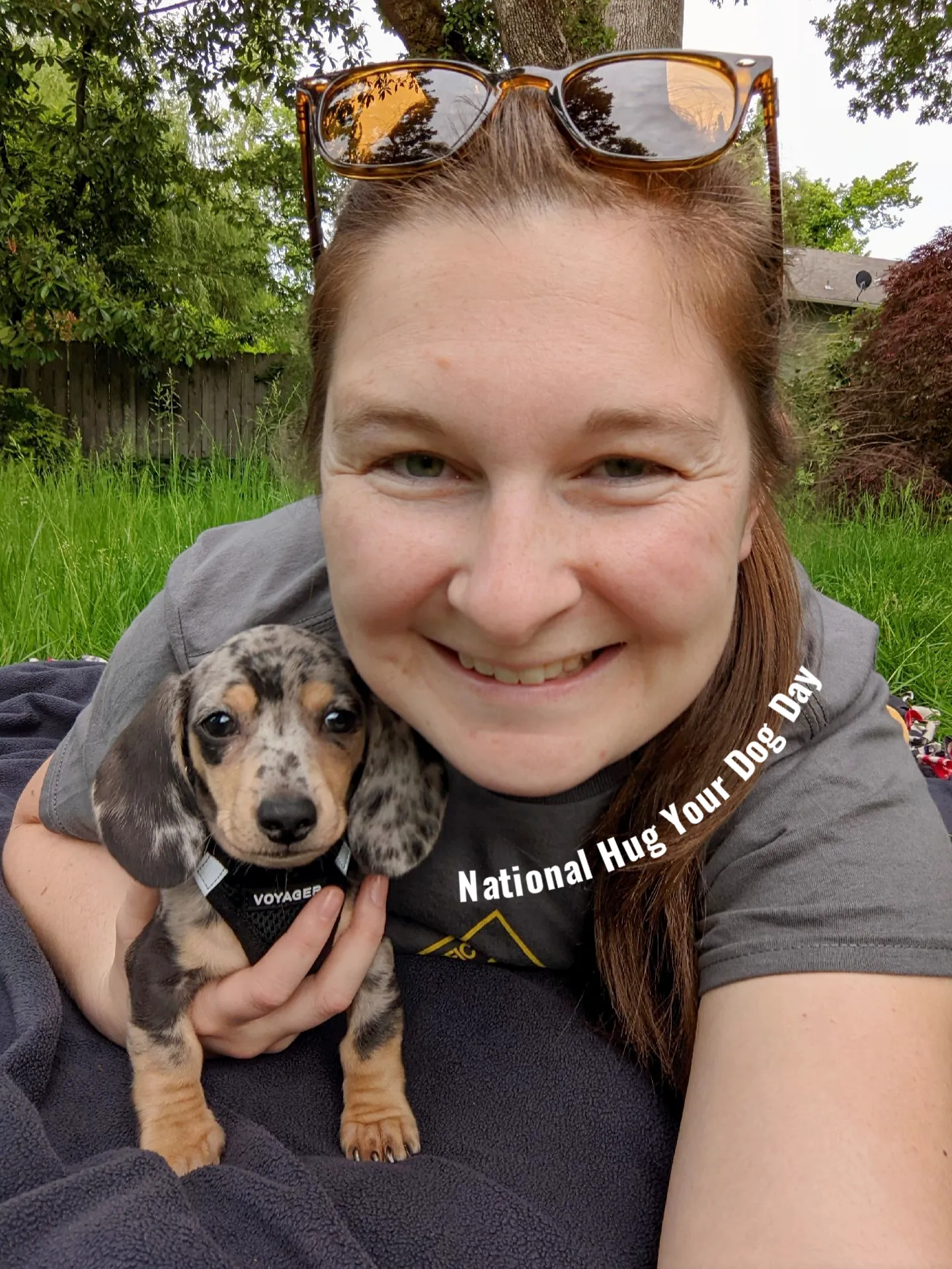 Hug your pup! 🐶 | Gallery posted by Richard | Lemon8