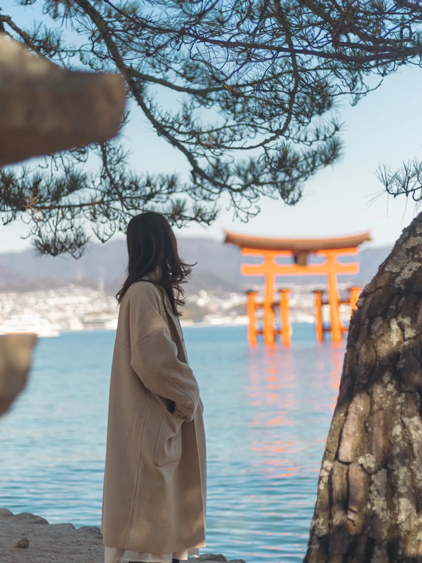 มิยาจิมะ🦌⛩สามมุมมองของญี่ปุ่น [จังหวัดฮิโรชิมะ] | แกลเลอรีที่โพสต์โดย pos.camp | Lemon8