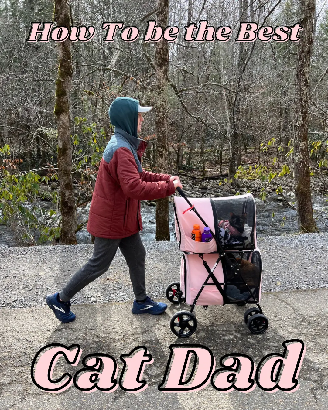 How to be the best cat dad! | Gallery posted by Zachary Bushey | Lemon8