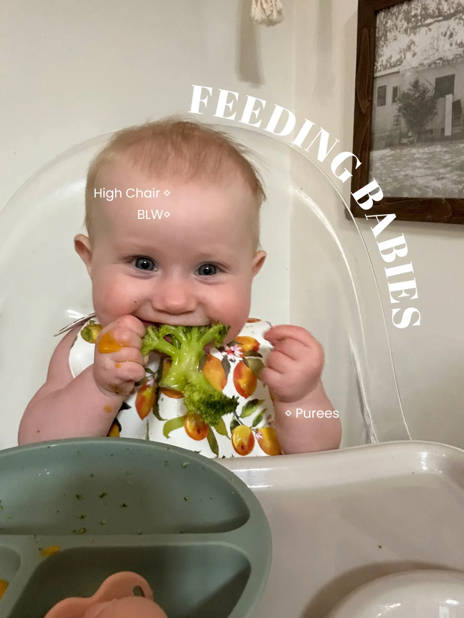 Feeding babies | Gallery posted by sarahgaccione | Lemon8