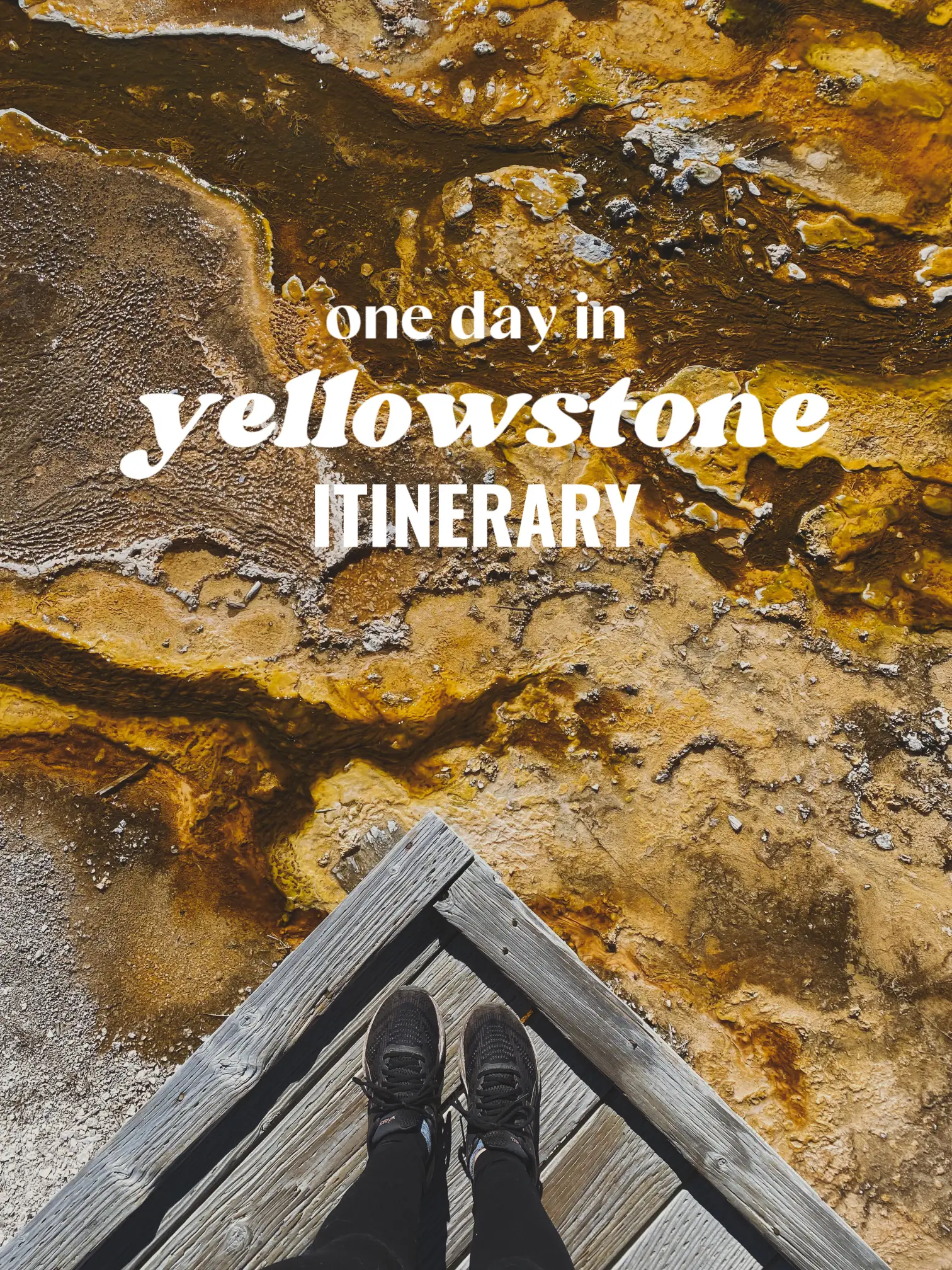 One Day in Yellowstone Itinerary | Gallery posted by Bougie Granola ...