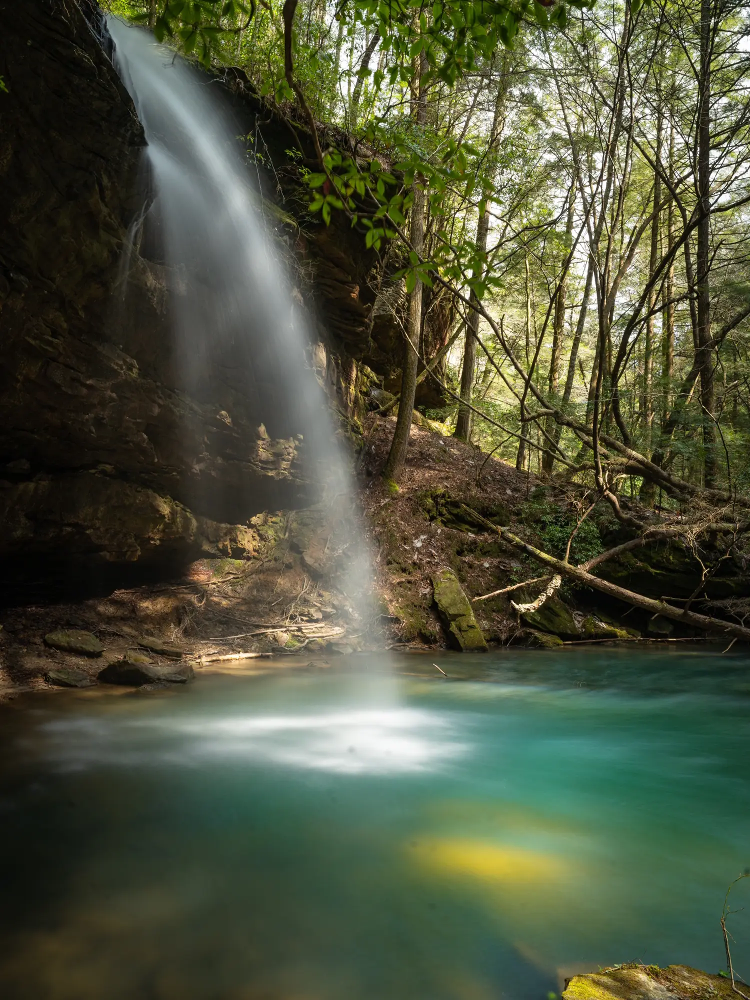 Hiking in Bankhead National Forest, Alabama | Gallery posted by Madelyn | Lemon8