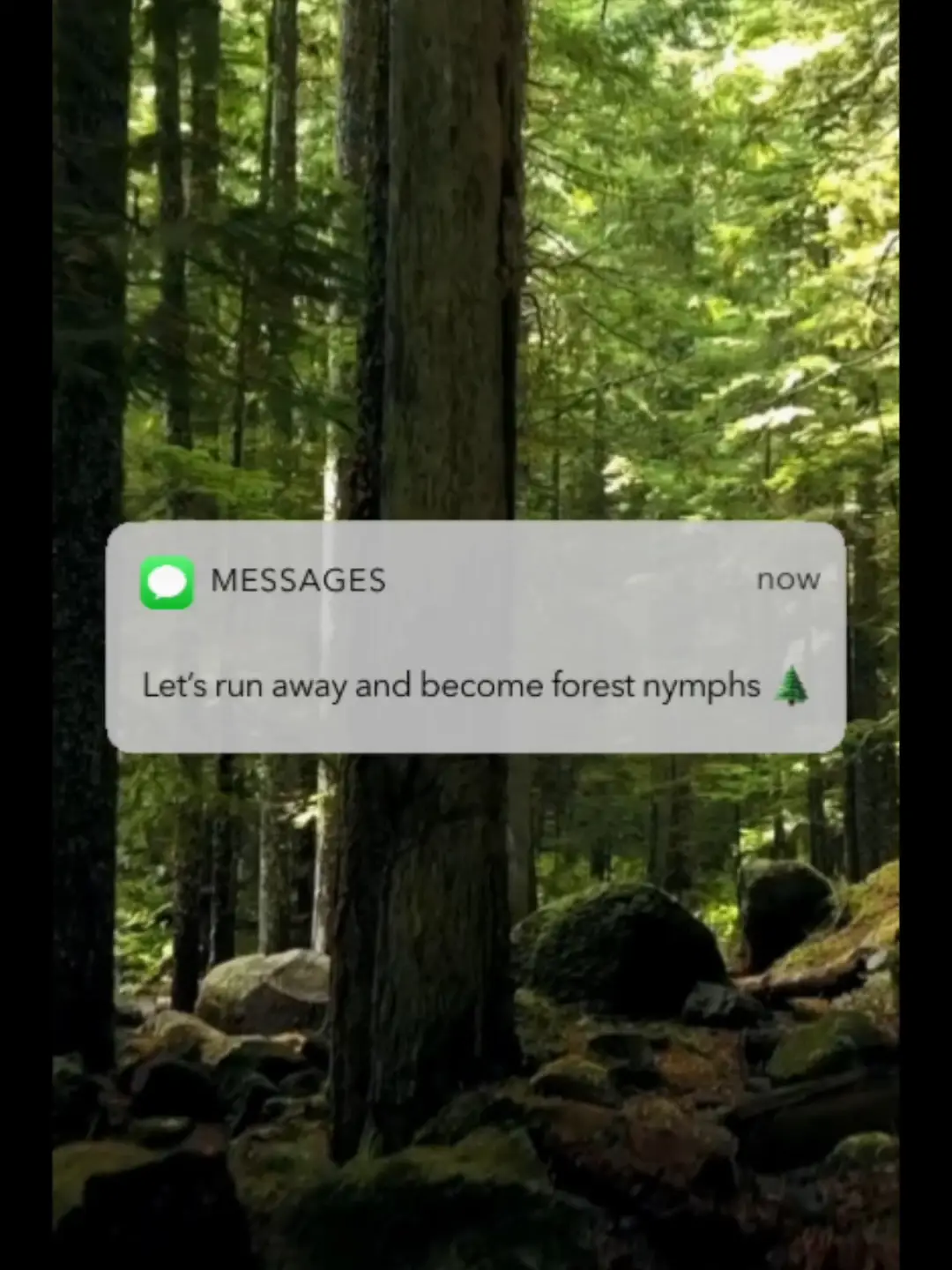 Let’s runaway to the forest 🌲 | วิดีโอที่เผยแพร่โดย Moody Babe | Lemon8
