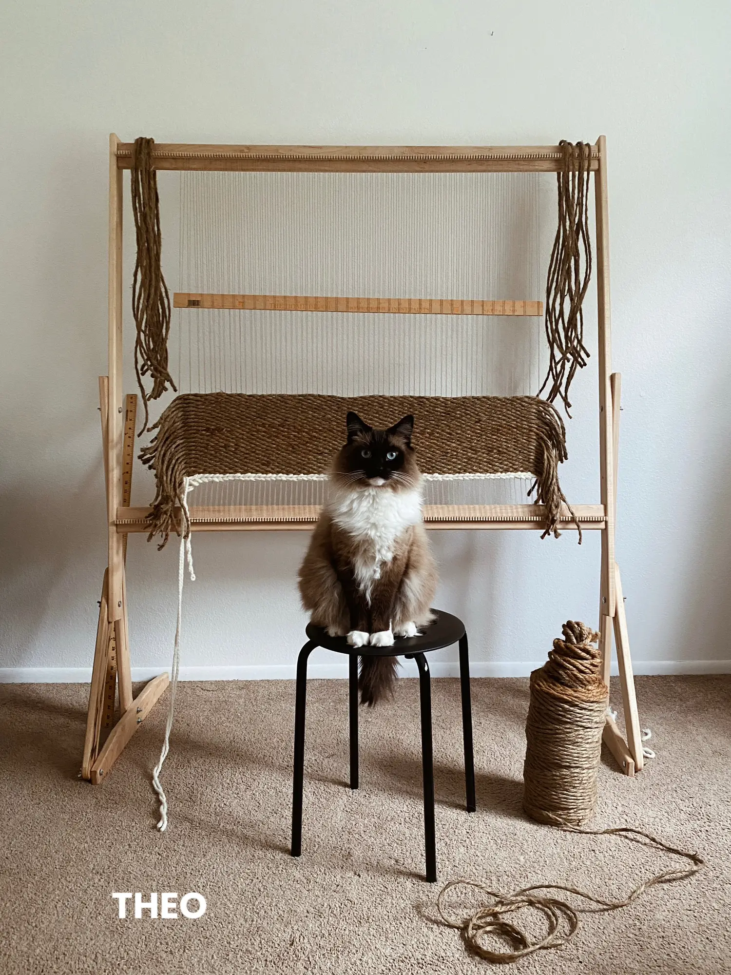 Meet the Family | Gallery posted by Cass | Lemon8