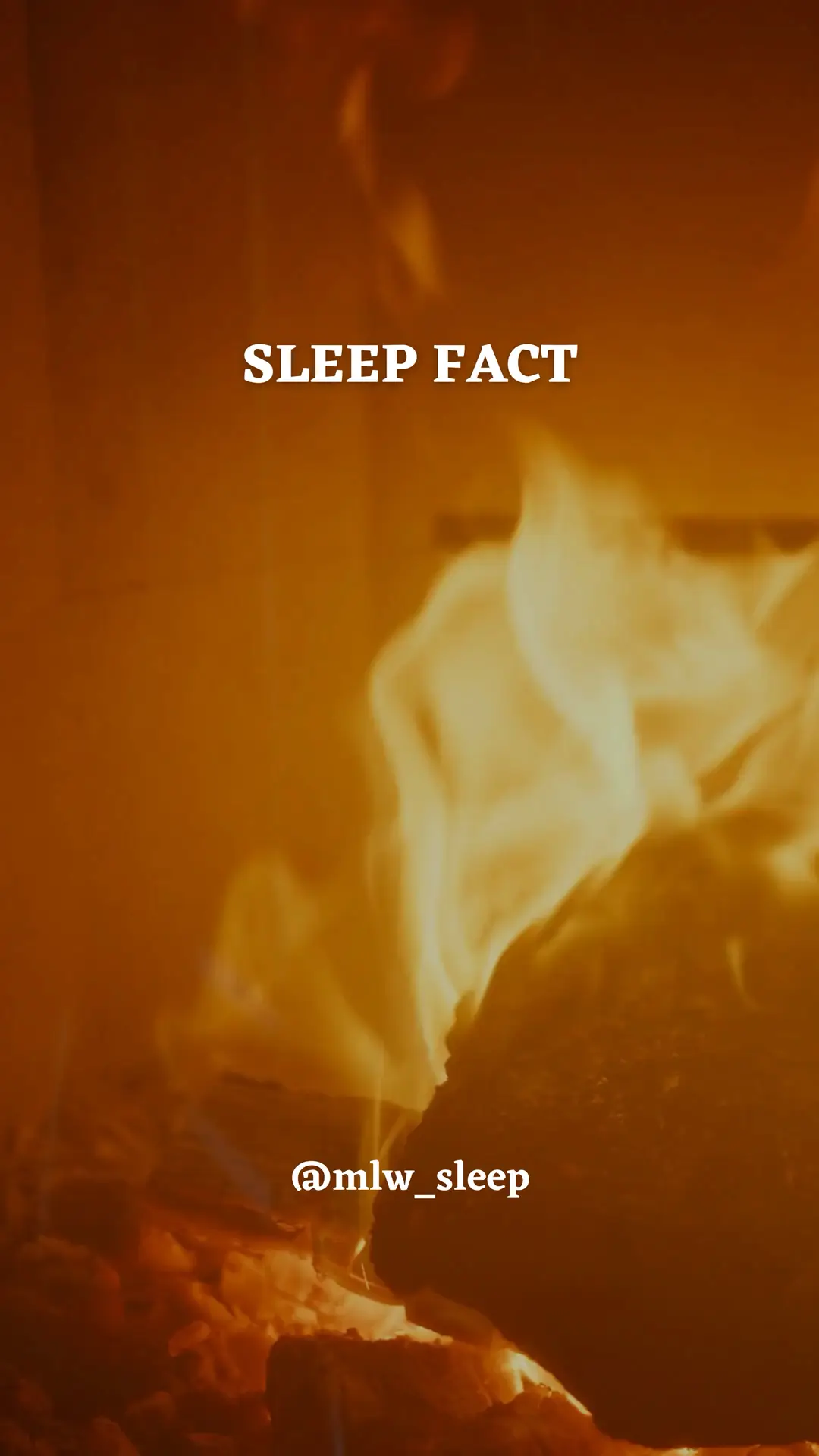 Sleep is your peaceful heaven. 💤😇 | Video published by Marcus Wilson | Lemon8