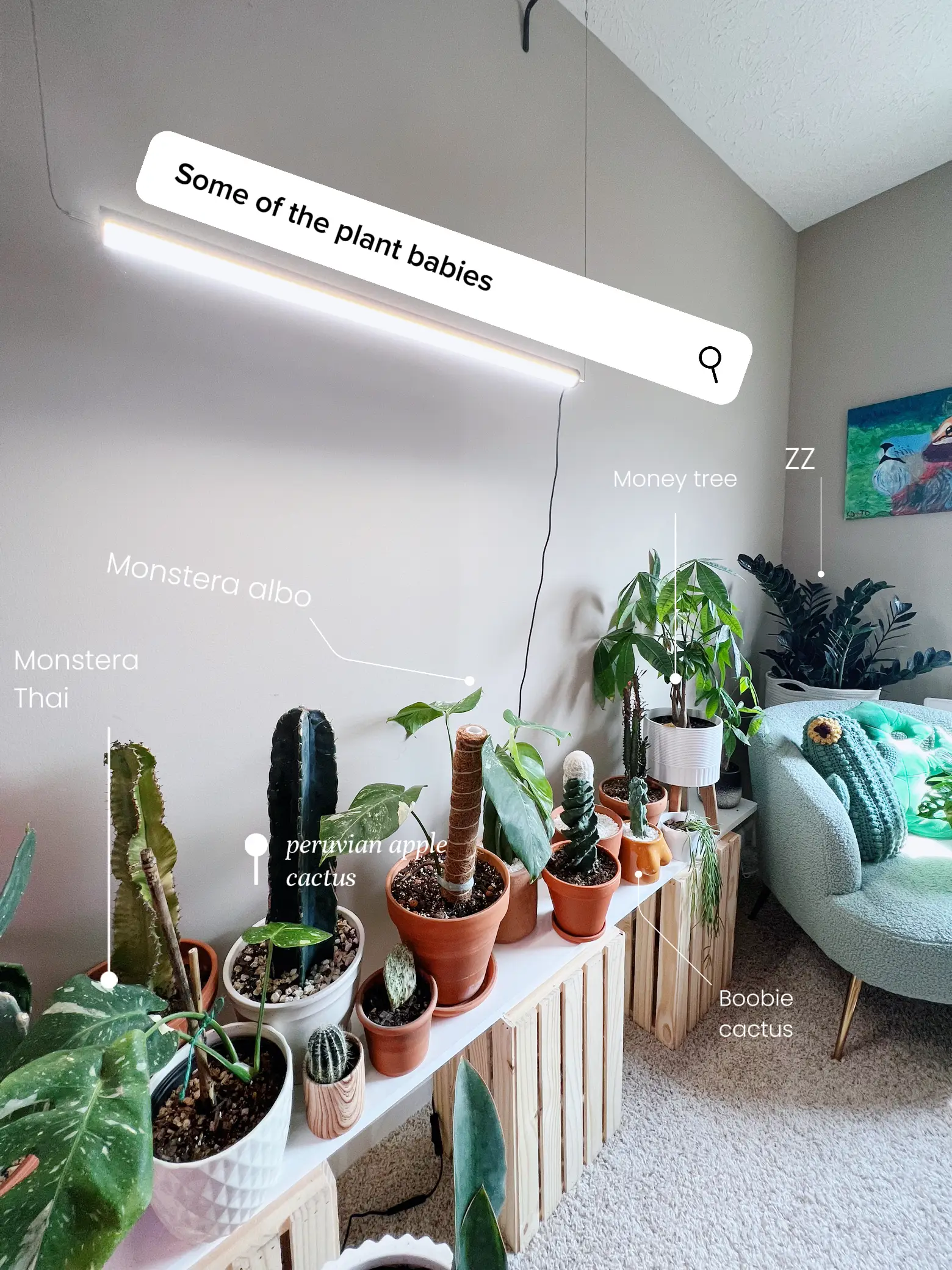 One of my plant corners for a little plant inspo | Gallery posted by Krystal 🪴 | Lemon8