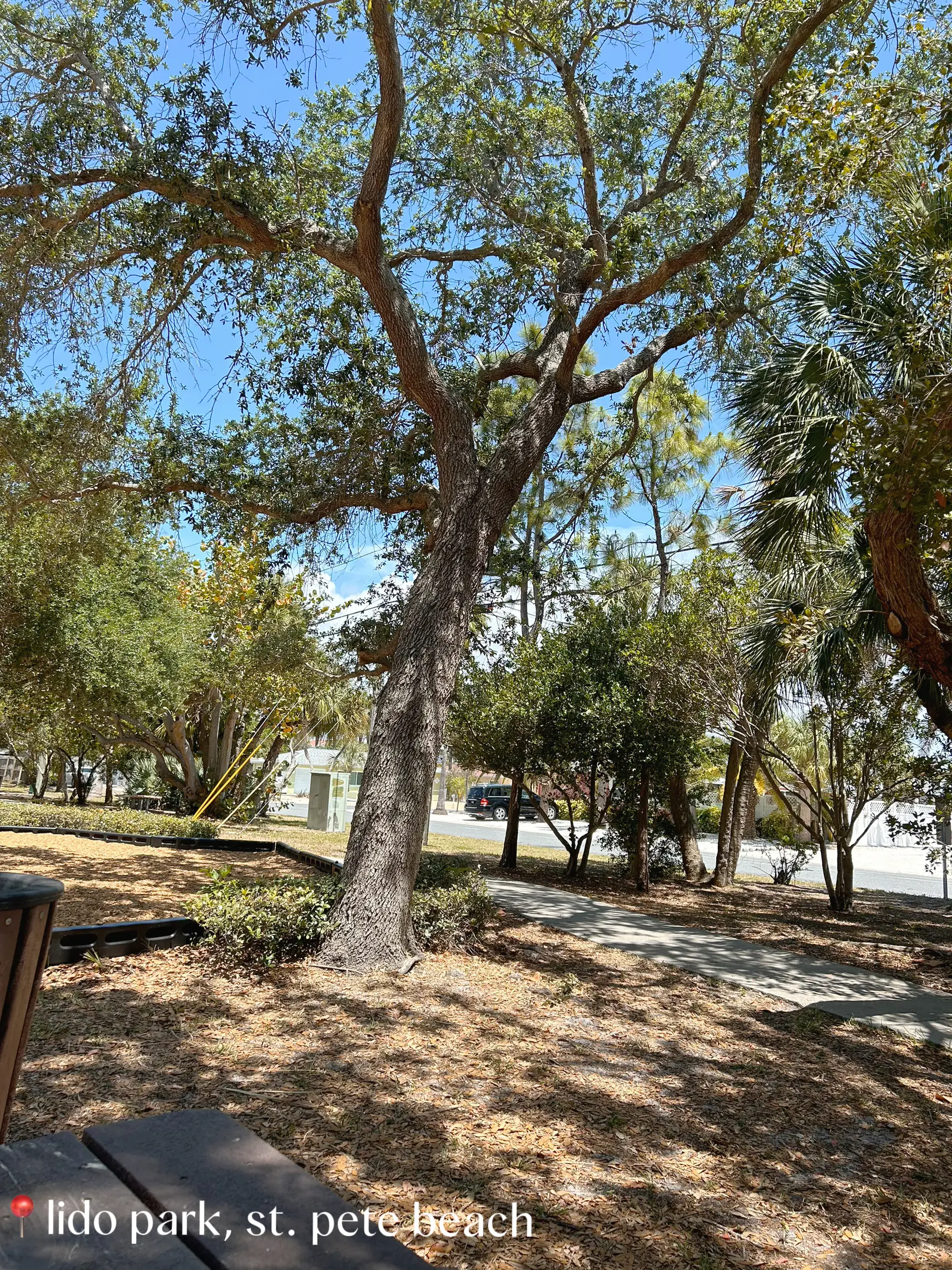 such a gorg day to go explore! | Gallery posted by Macy | Lemon8