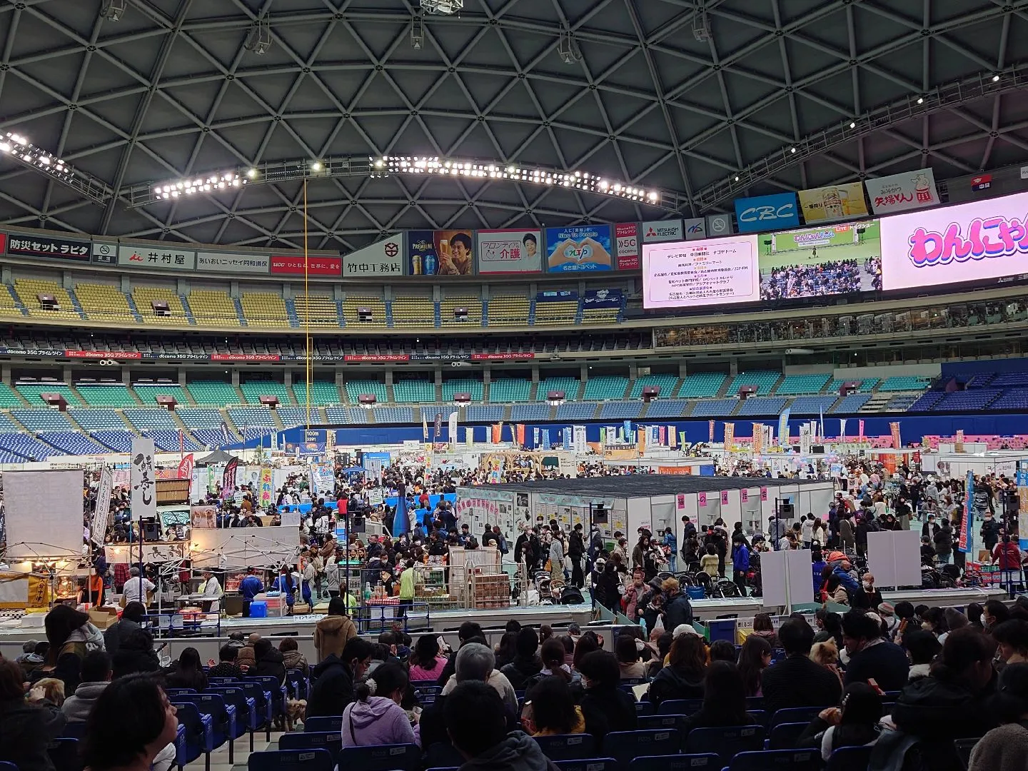 Wan Nyan Dome 2023 | Gallery posted by TORAM | Lemon8