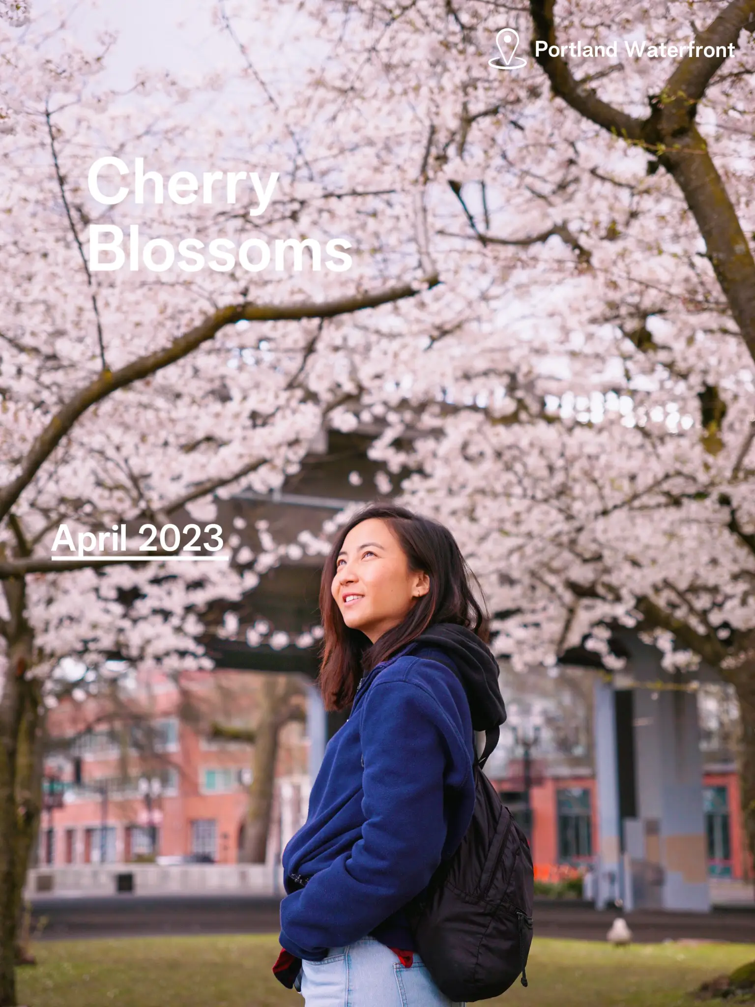 Cherry Blossoms in Portland | Gallery posted by Patty | Lemon8