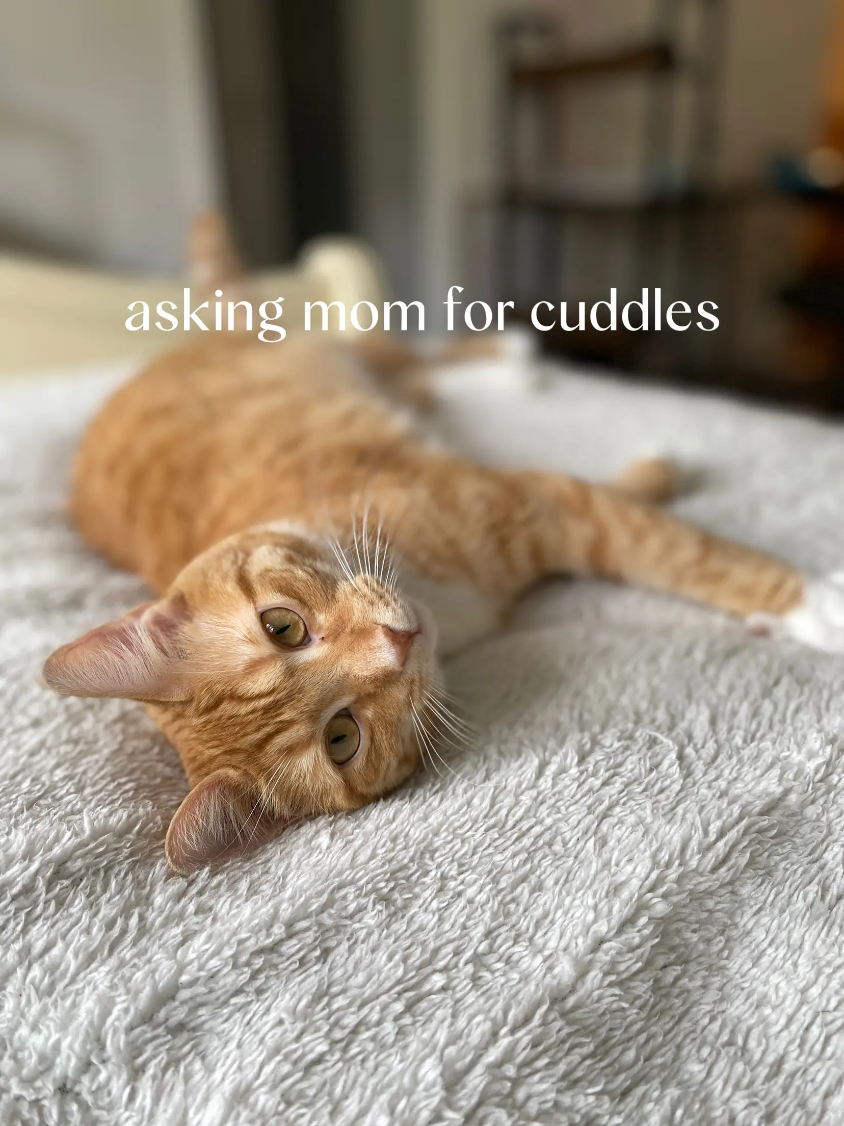 Asking mom for cuddles | Gallery posted by Simba Moise | Lemon8
