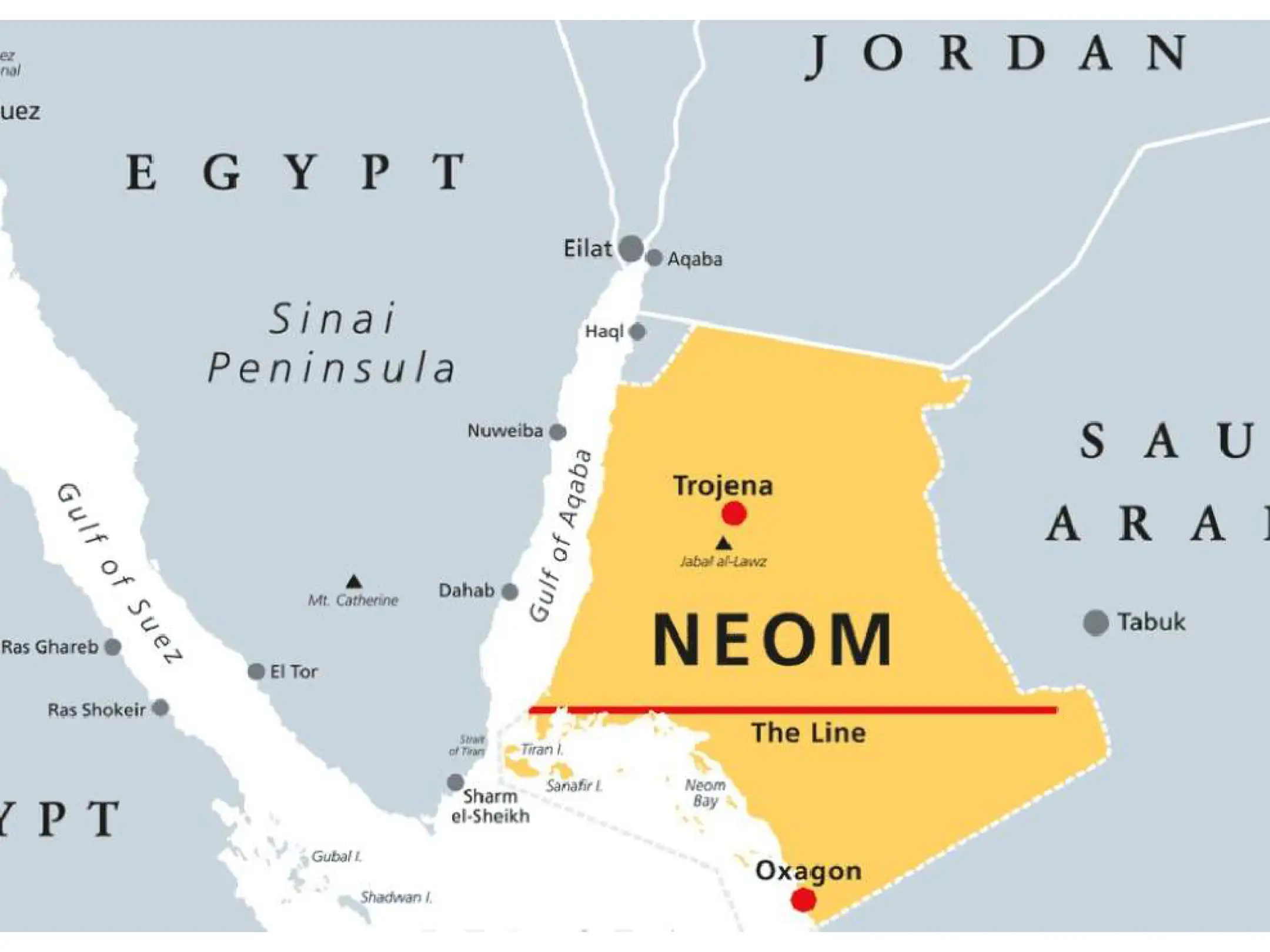 neomnews posted a contribution | Gallery posted by NEOM | Lemon8