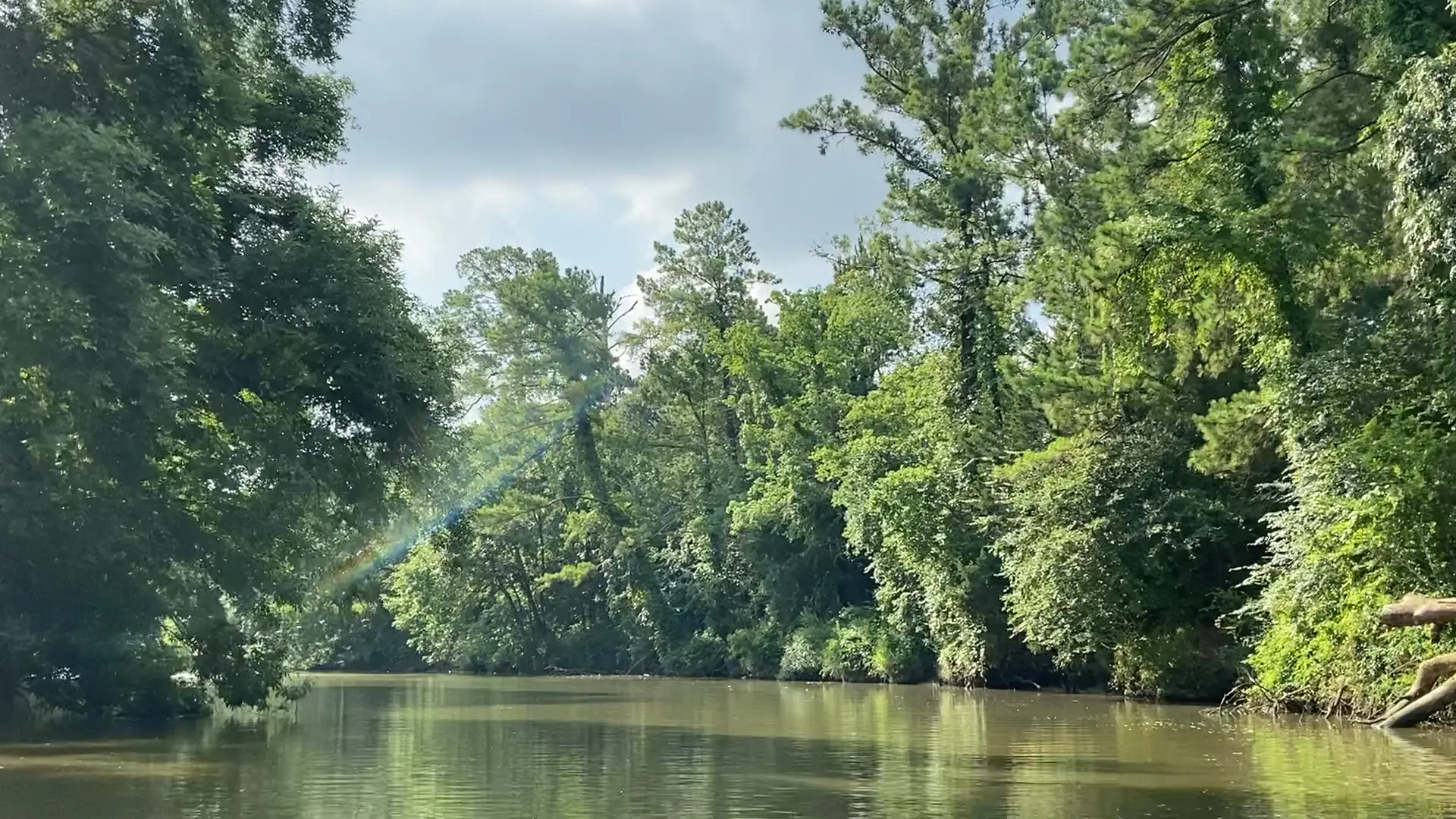 Morning Bayou Bliss | วิดีโอที่เผยแพร่โดย Heather German | Lemon8