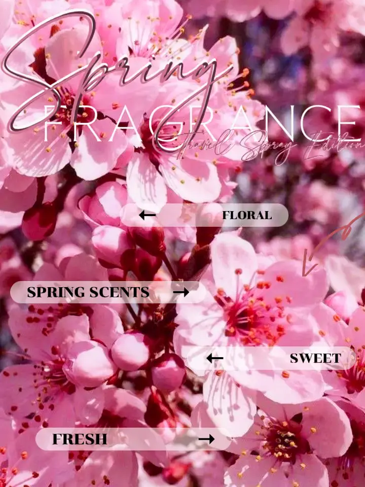 SPRING FRAGRANCE Travel Spray Edition | Gallery posted by Tameka | Lemon8