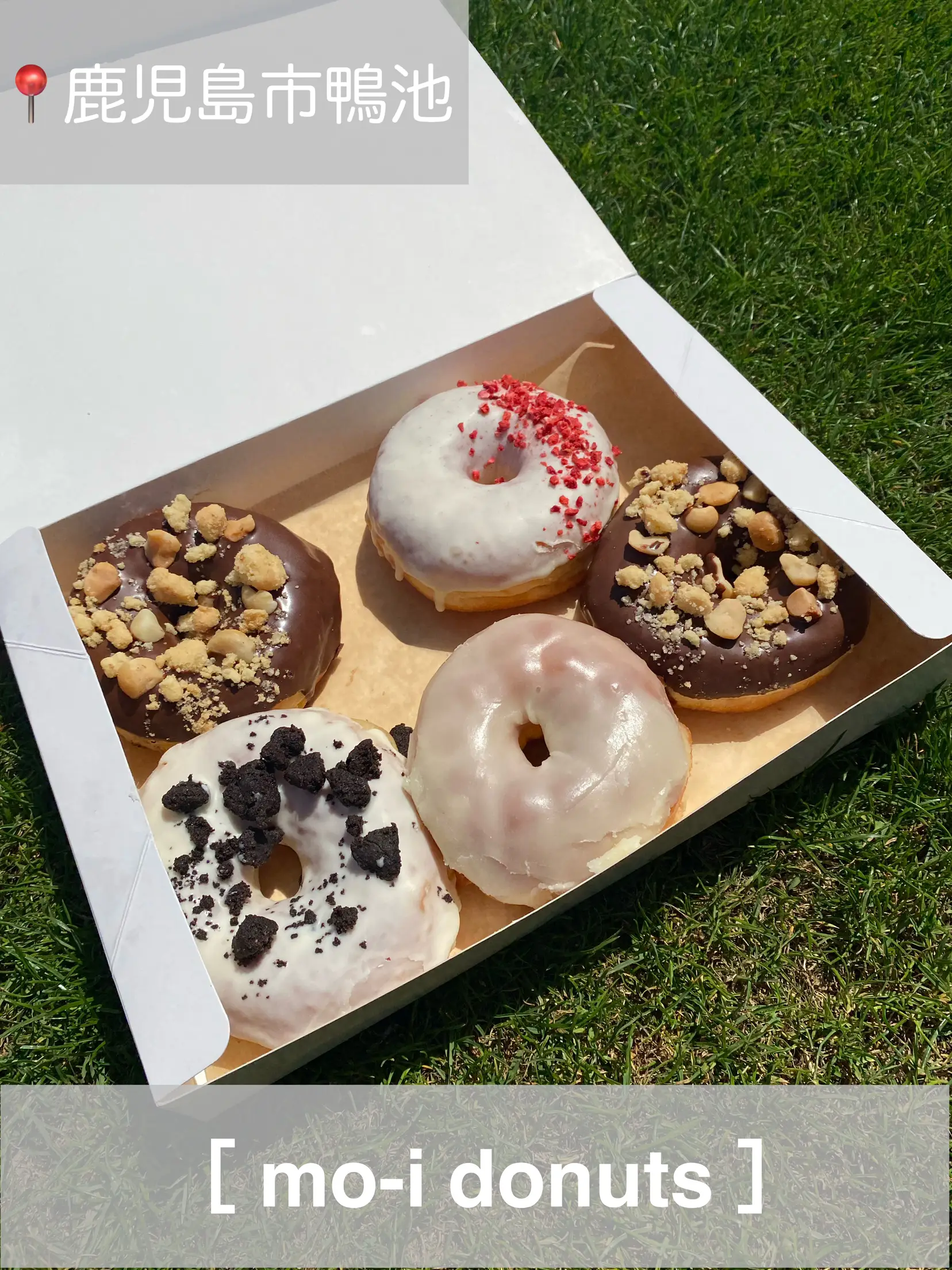 [ mo-i donuts ]｜【鹿児島】カフェ/ドーナツ/専門店 | まる｜かごんまぐるめカフェ録𓂃が投稿したフォトブック | Lemon8