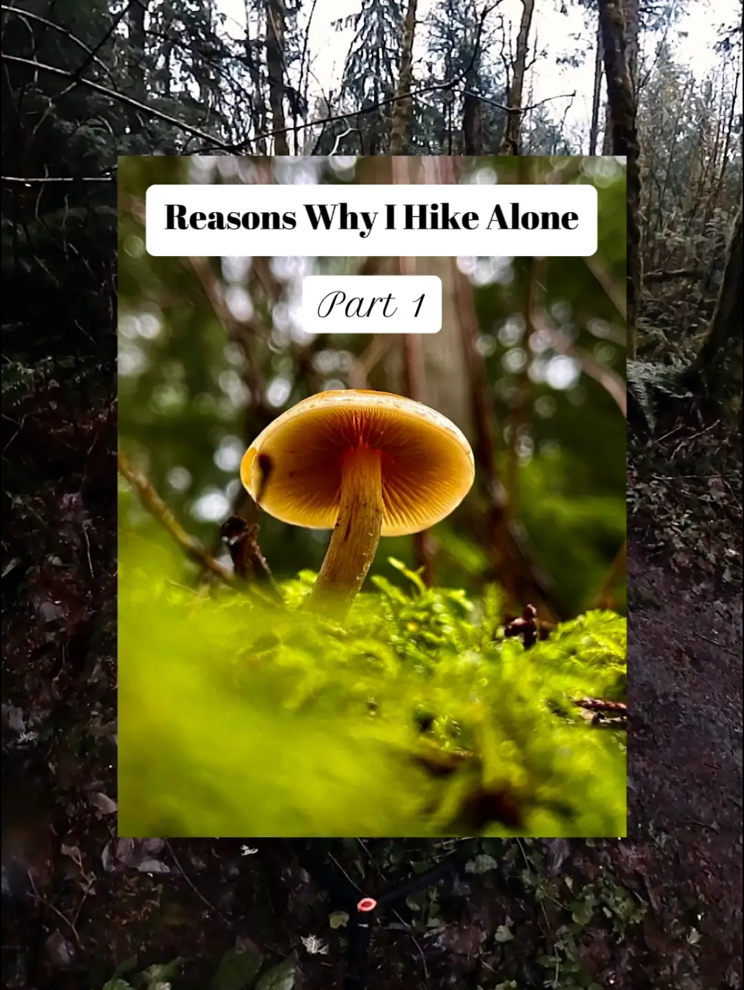 Reasons Why I Hike Alone - Part 1 | Video published by Patty | Lemon8