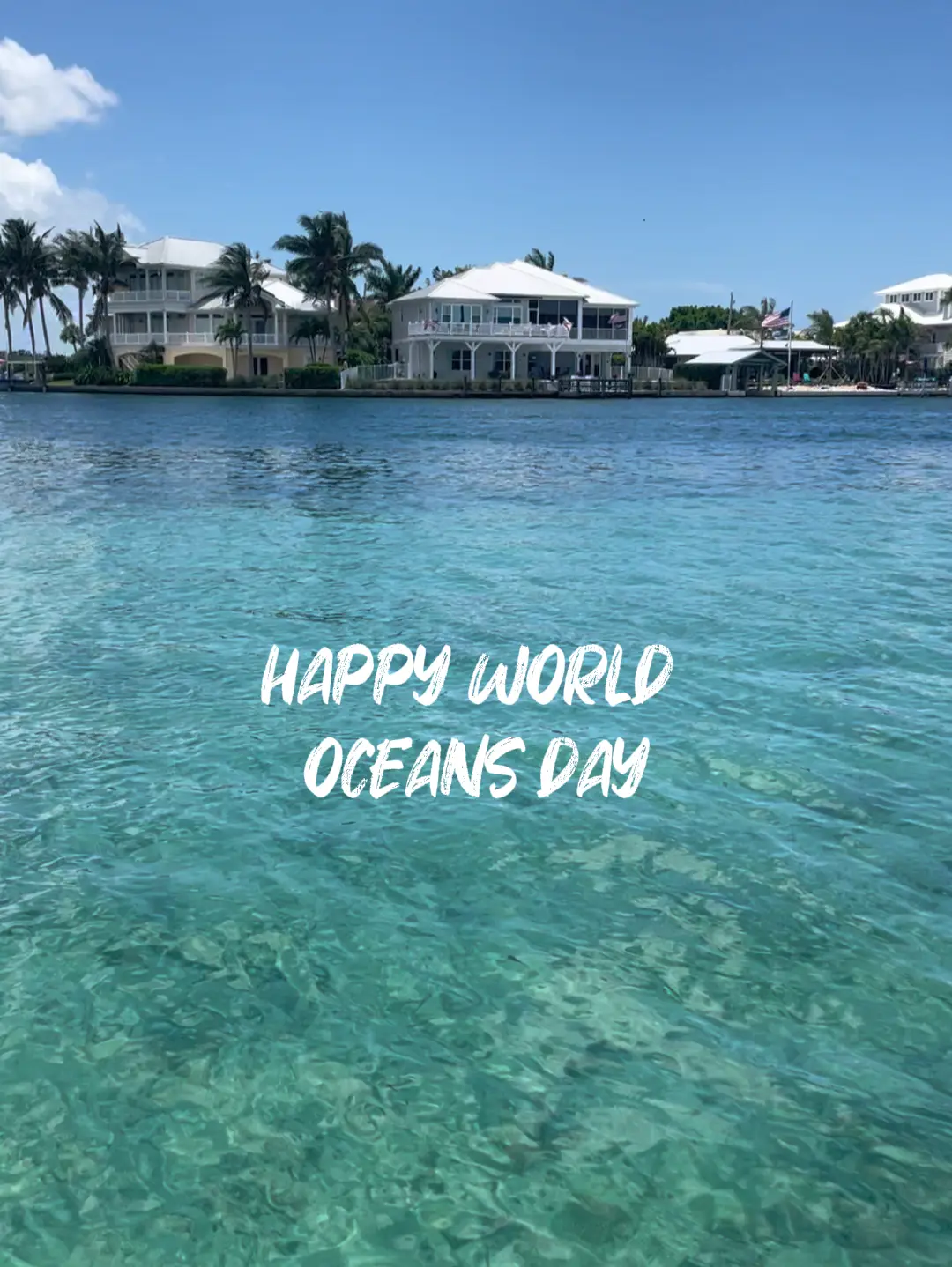 FLORIDA SUMMER: WORLD OCEANS DAY 🌊🌎 | Video published by Meredith | Lemon8