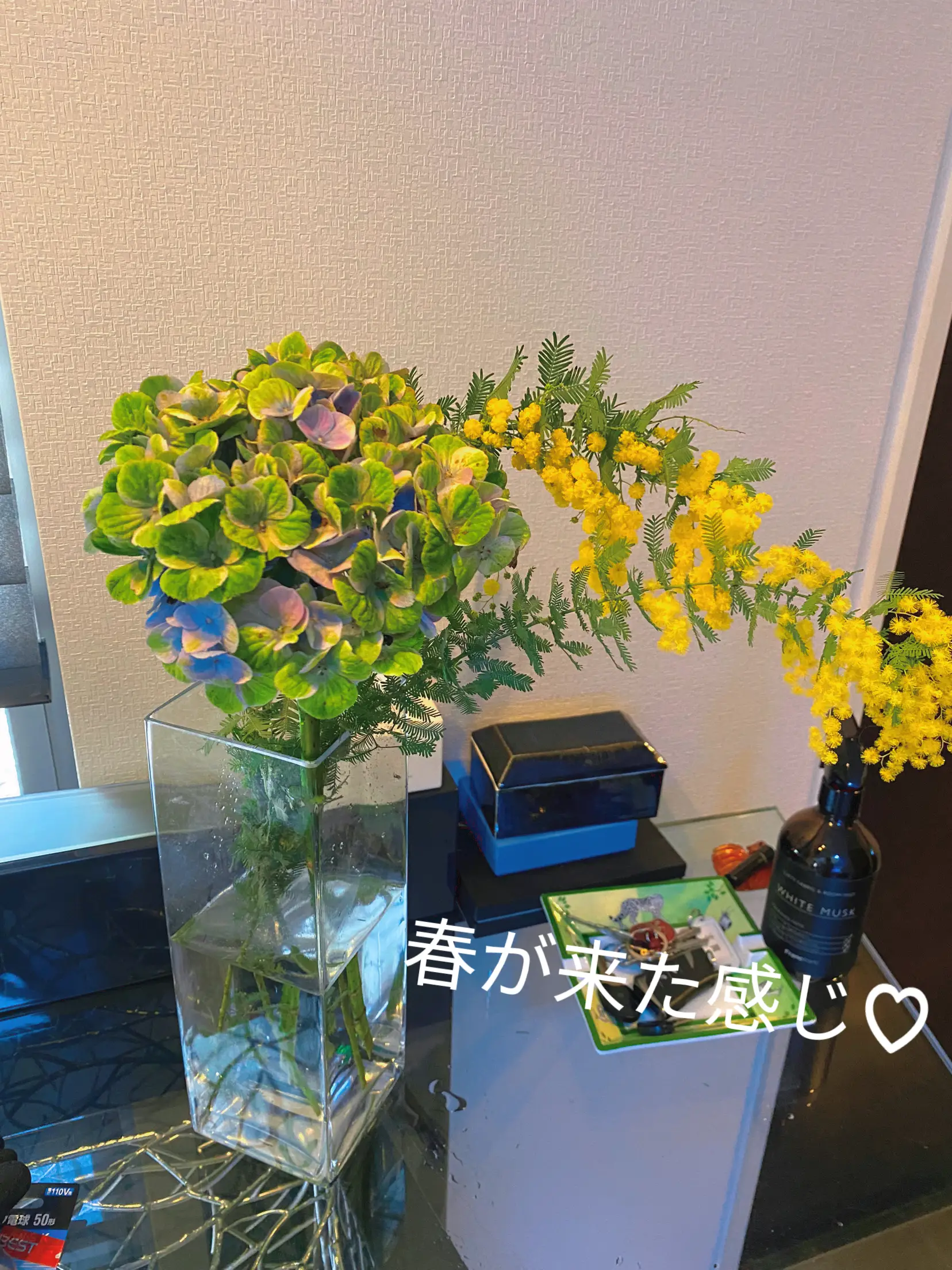 Spring flowers ♡ | Gallery posted by marun | Lemon8