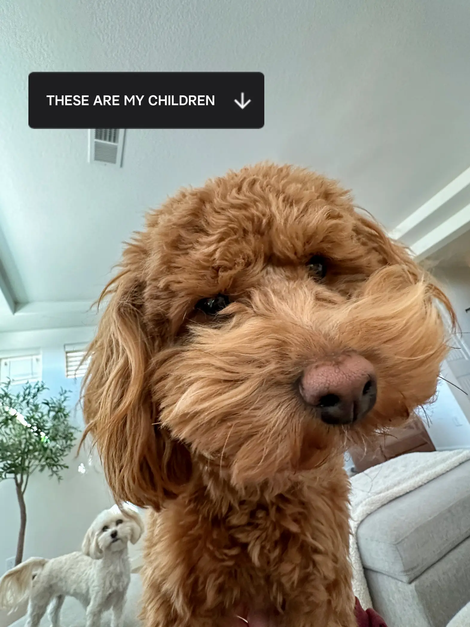 WHAT’S UP LEMON8 | Gallery posted by Tay Cardines | Lemon8