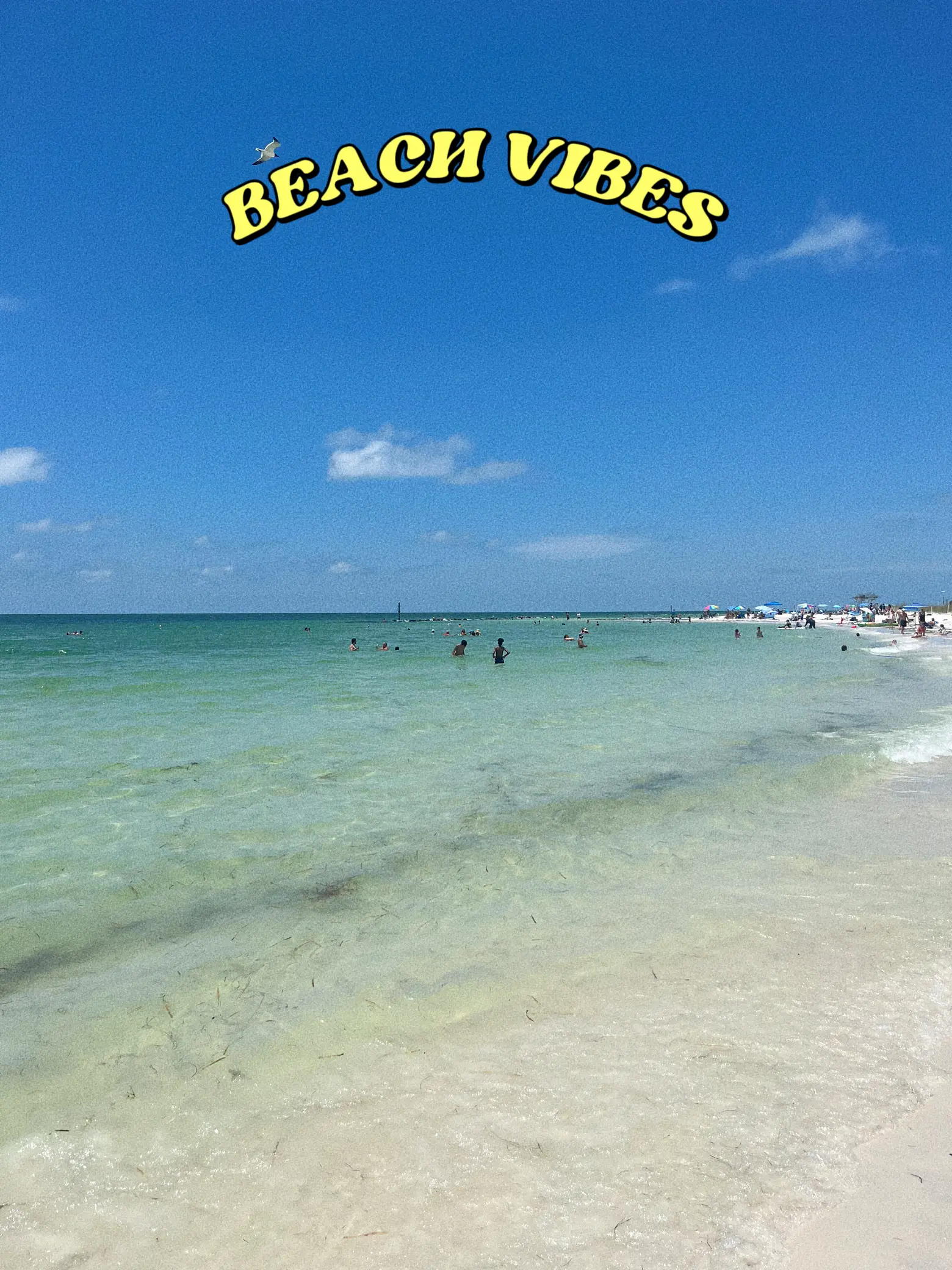 BEACH | แกลเลอรีที่โพสต์โดย Bridget | Lemon8