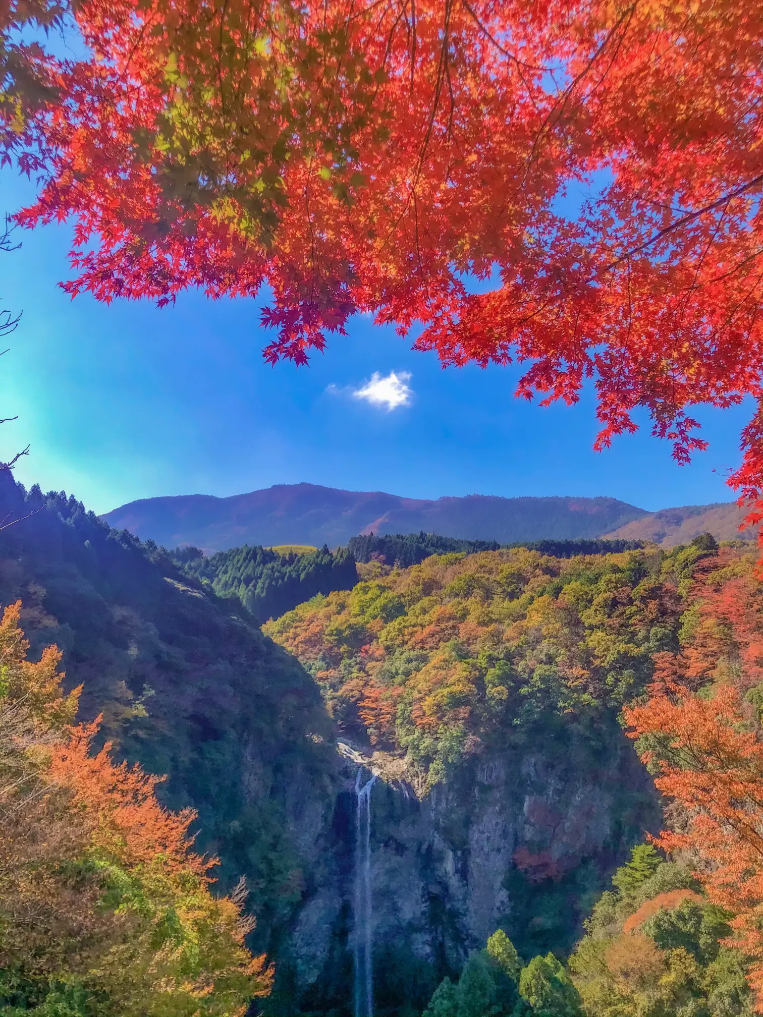 紅葉狩り🍁 | 𝐀𝐤𝐢が投稿したフォトブック | Lemon8