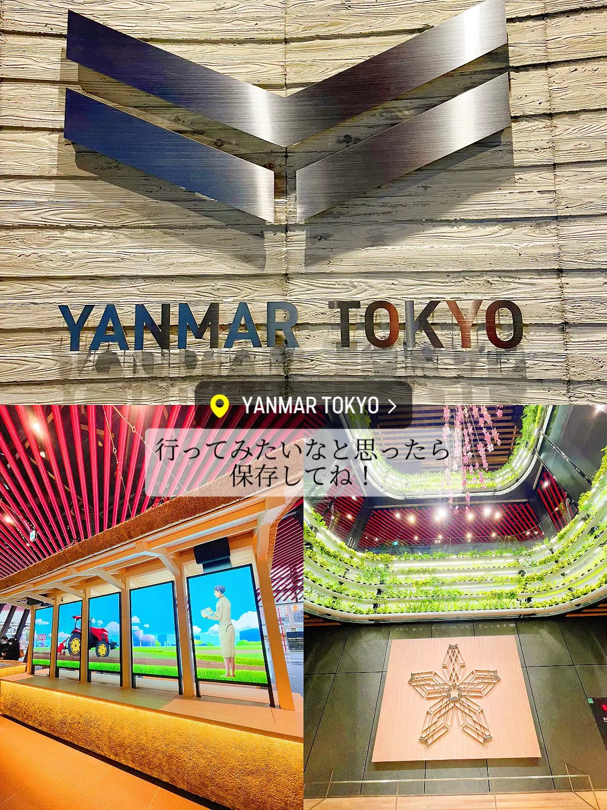 【八重洲】無料で体験できる新スポット🌸YANMAR TOKYO 🌸で雨の日でもお花見気分！ | 西村華奈穂が投稿したフォトブック | Lemon8