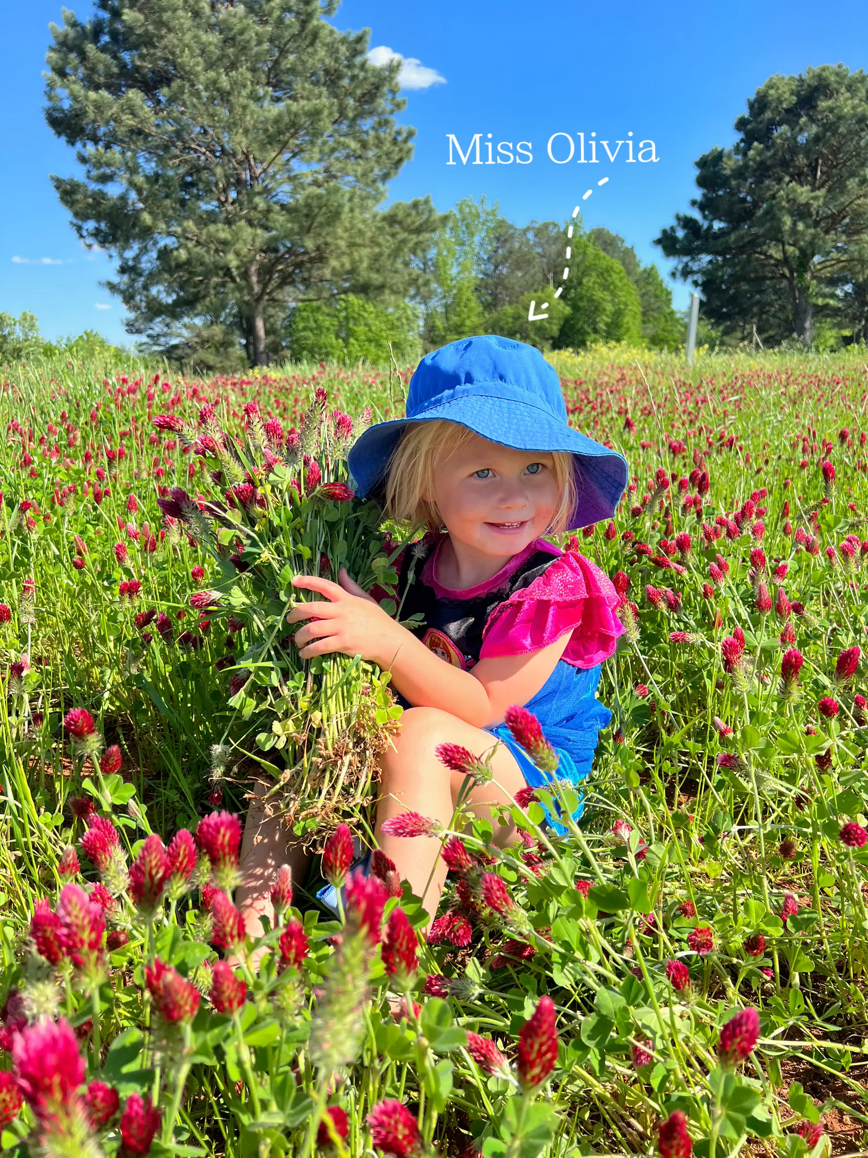 When the clovers bloom! | Gallery posted by Ourwintonhome | Lemon8