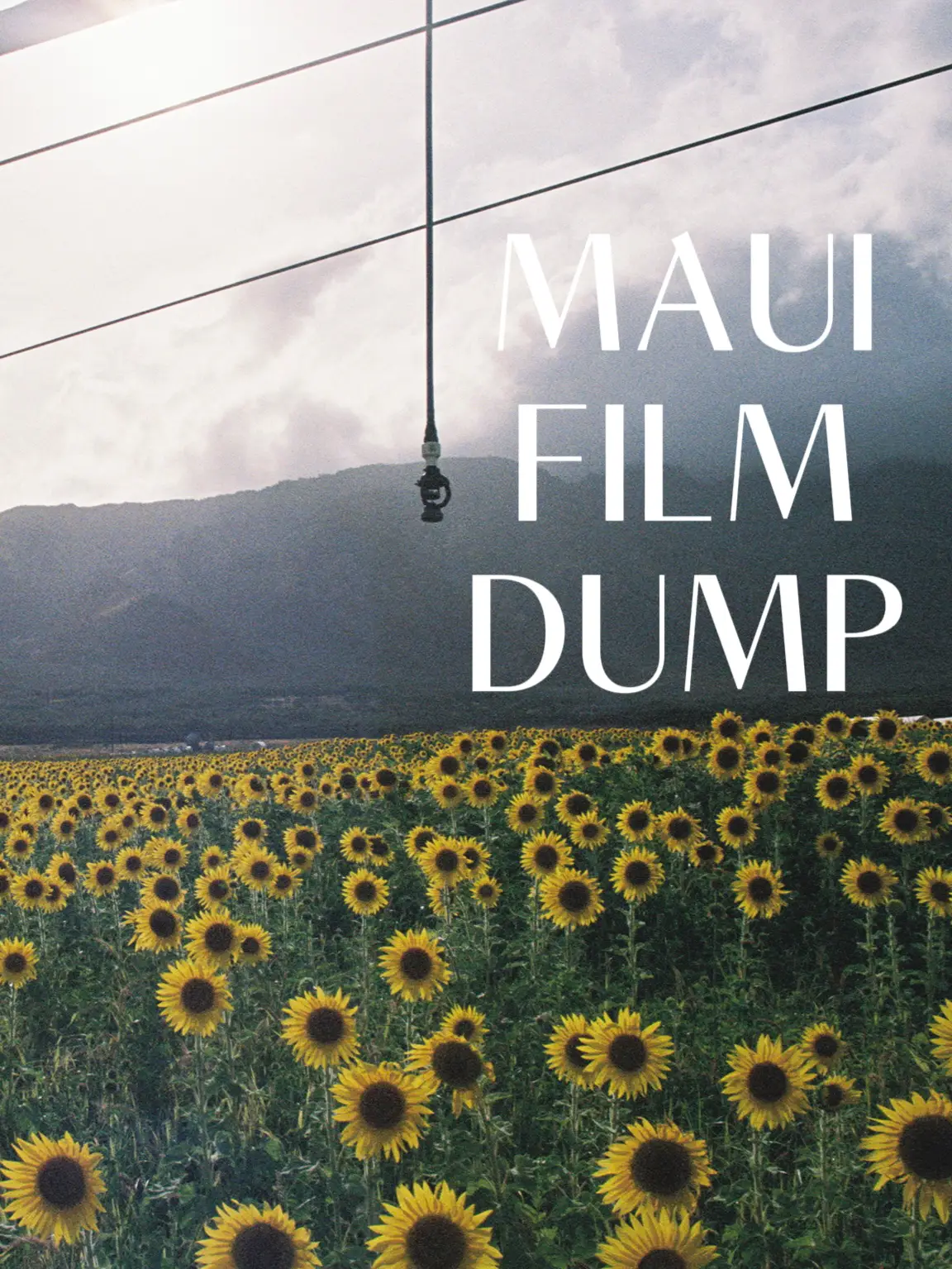 MAUI FILM DUMP | Gallery posted by Nicole White | Lemon8