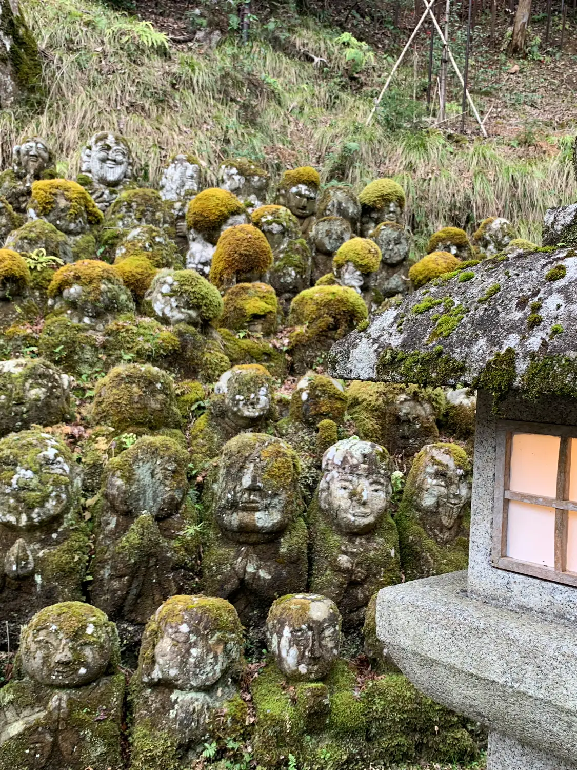 Can’t Miss Kyoto Temples (and a hidden photo spot) | Gallery posted by Megan Corwin | Lemon8