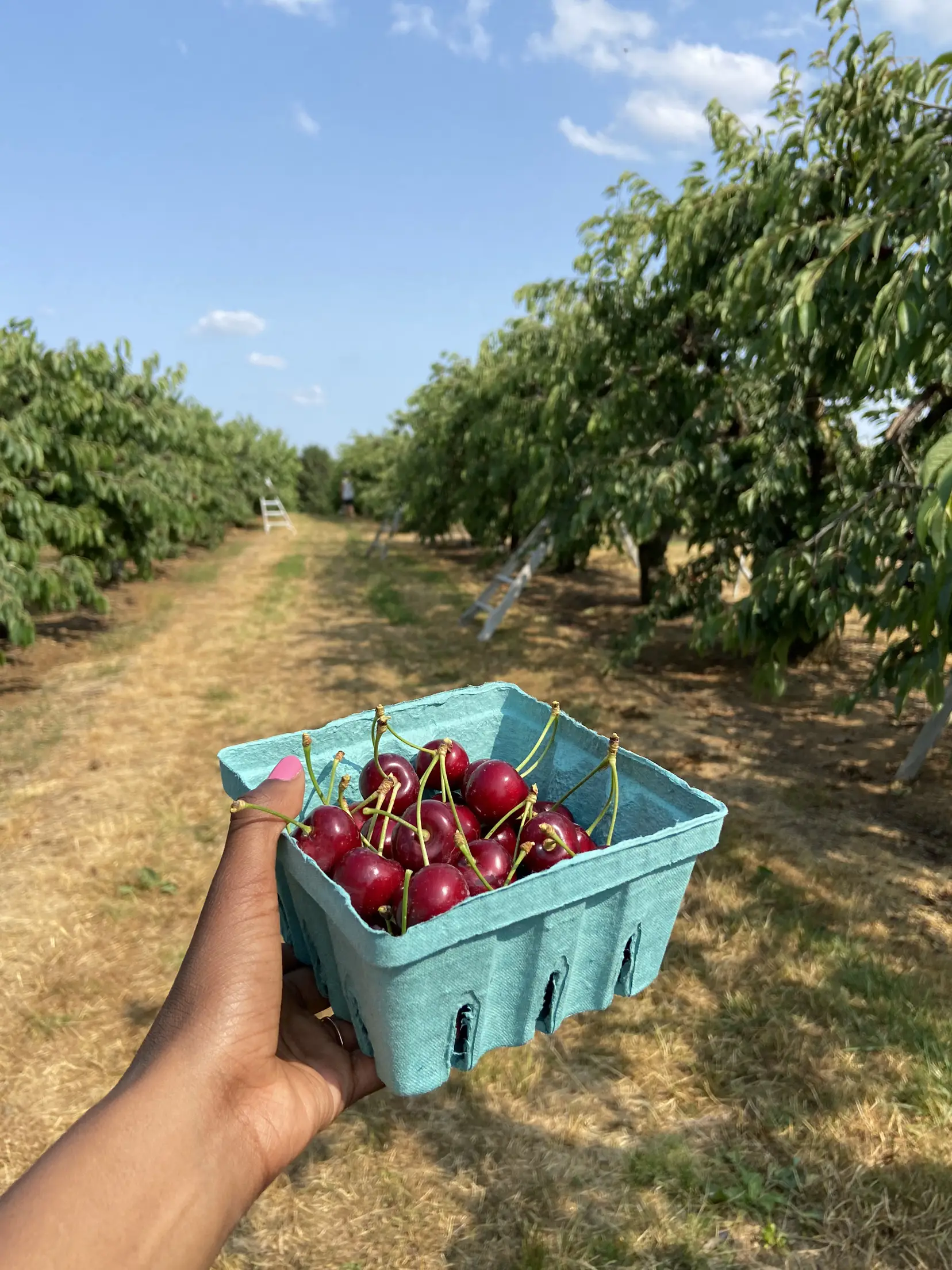 Let’s go cherry picking 🍒 | Gallery posted by Evoni Paige | Lemon8