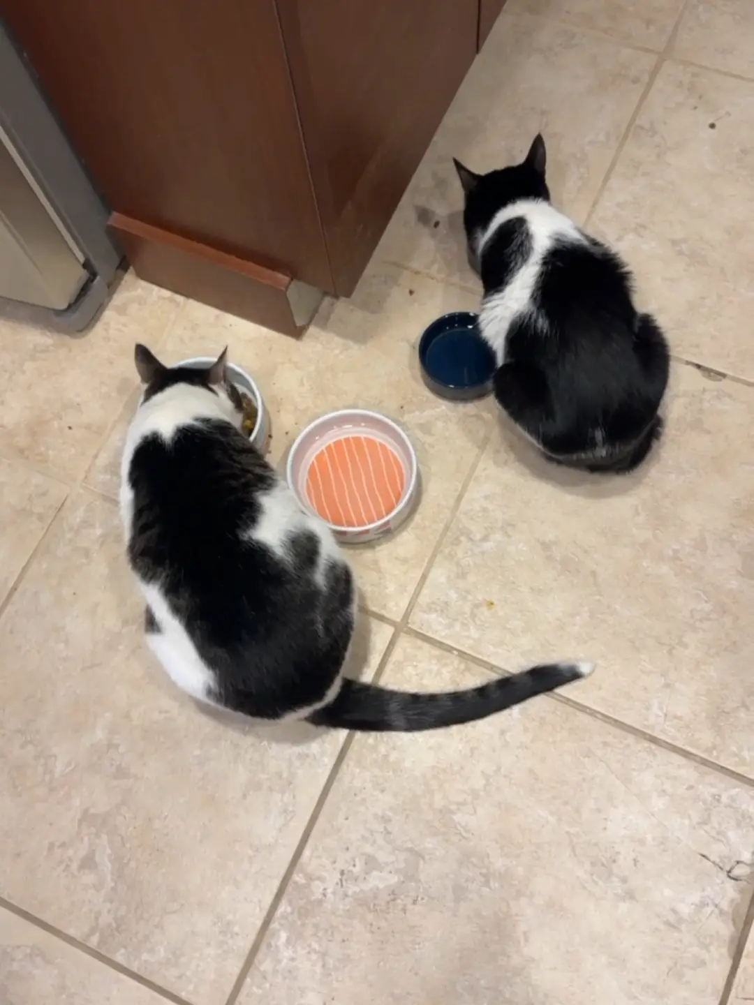 weekend update | วิดีโอที่เผยแพร่โดย Alyssa Lyn | Lemon8