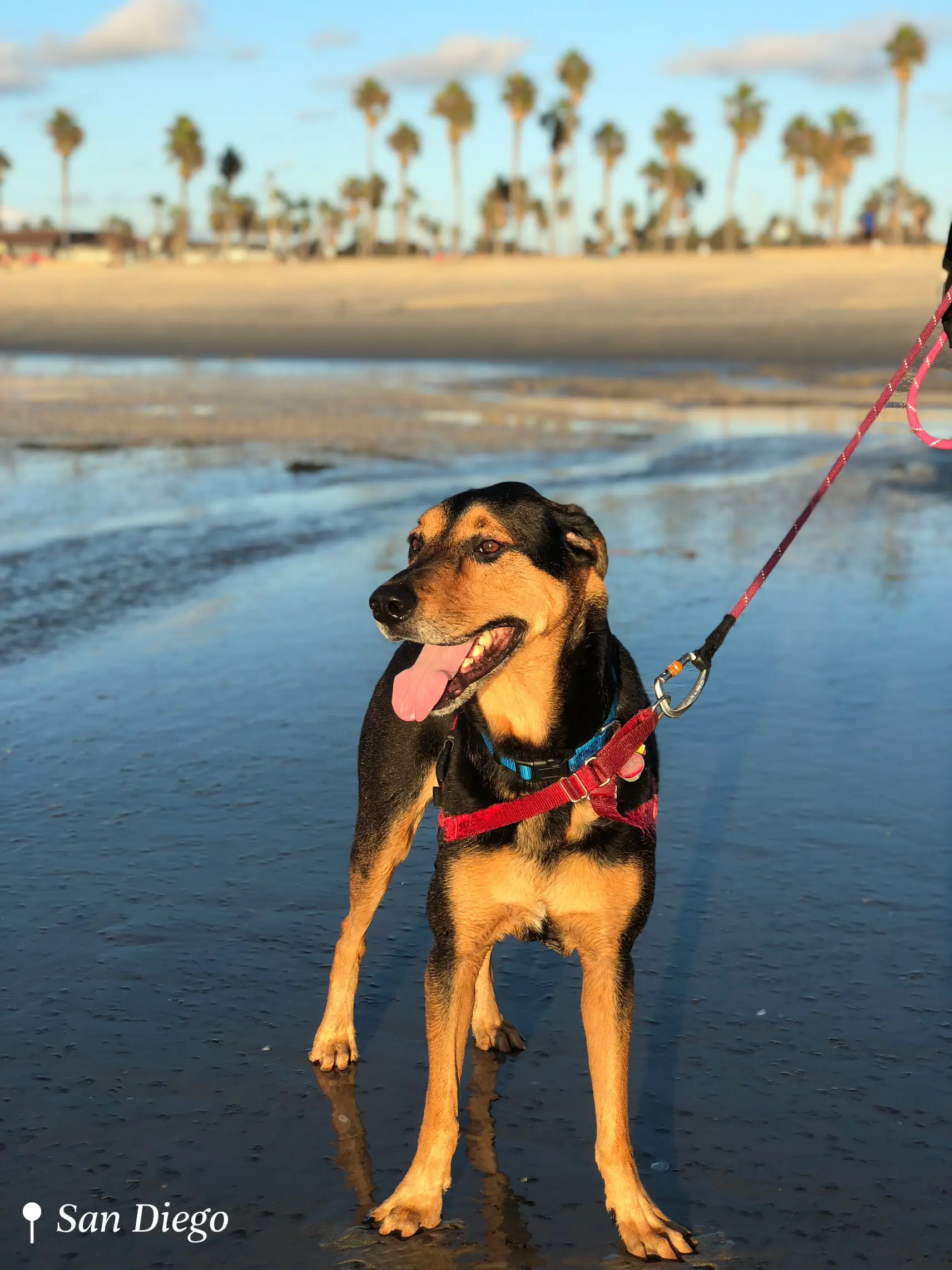 Get to know Brody! | Gallery posted by Mik • Bro • Lu | Lemon8