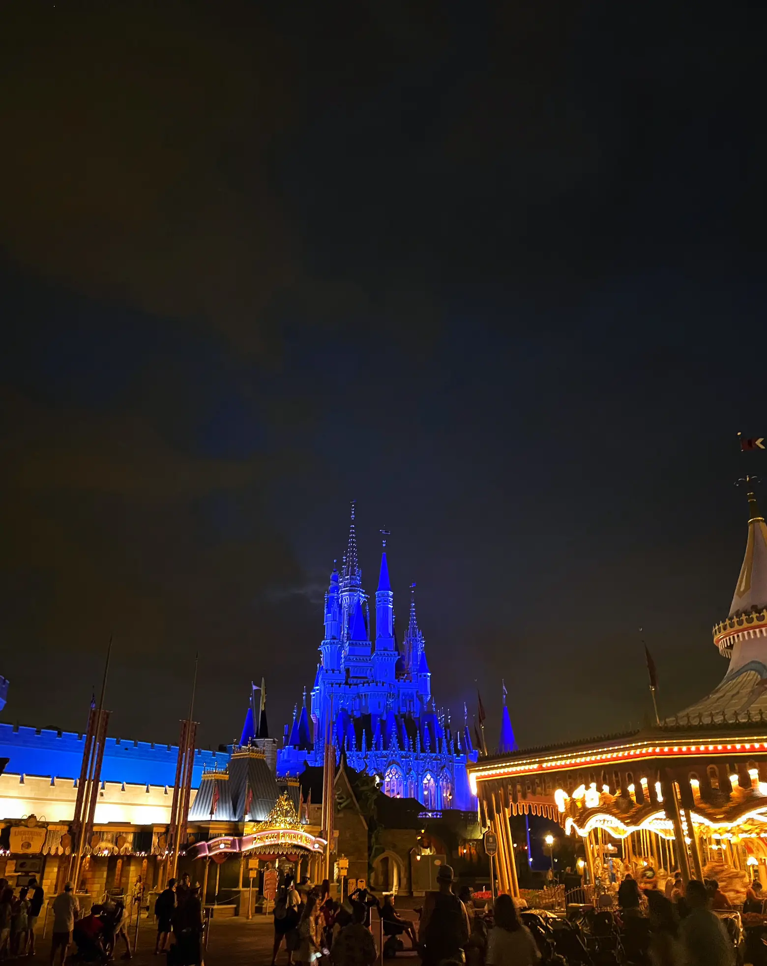 disney world | Gallery posted by natalievanvleet | Lemon8