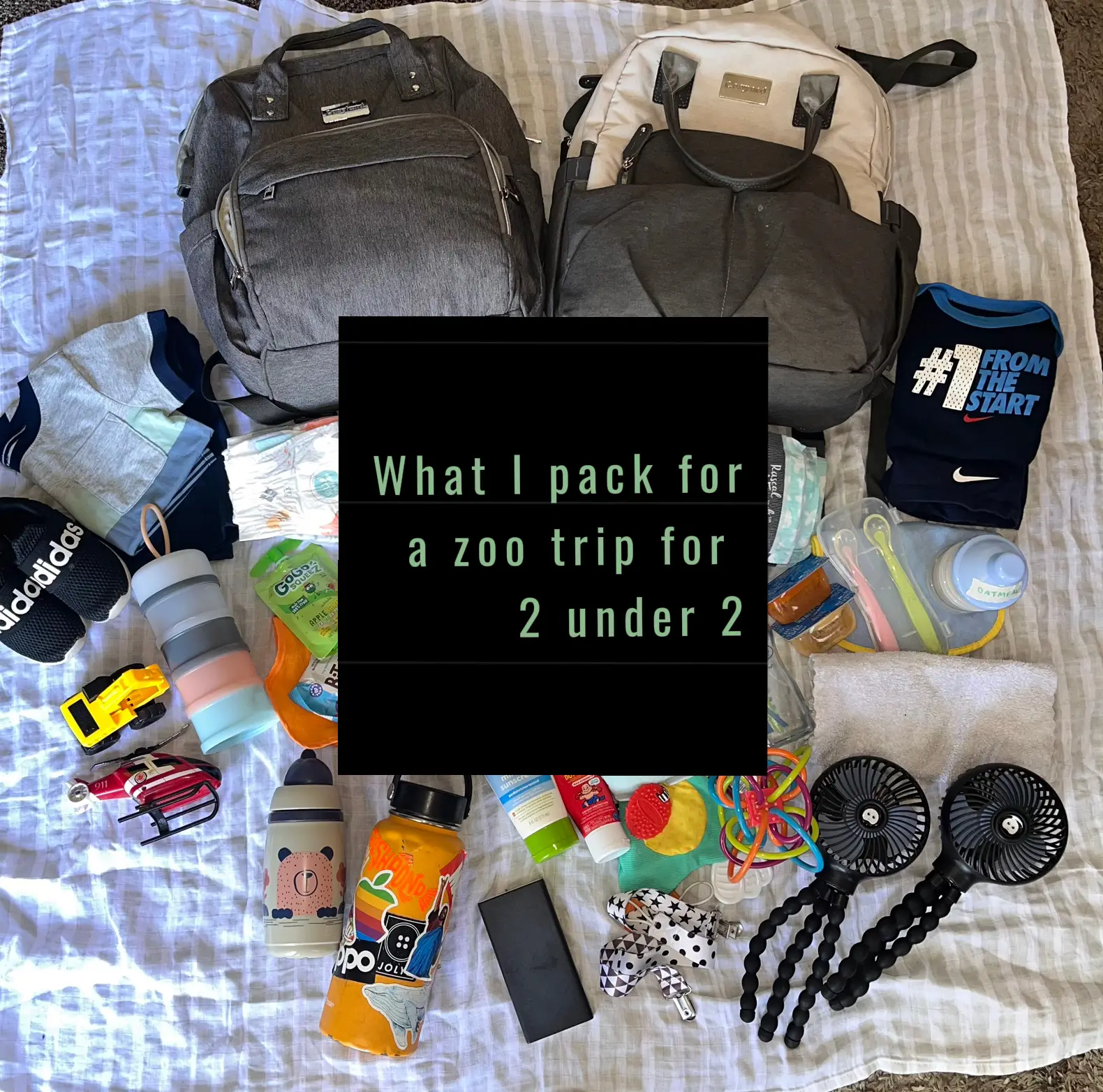 What I packed for our zoo trip! 🐘 🐅 🦩 | Gallery posted by Jordyn Heck ...