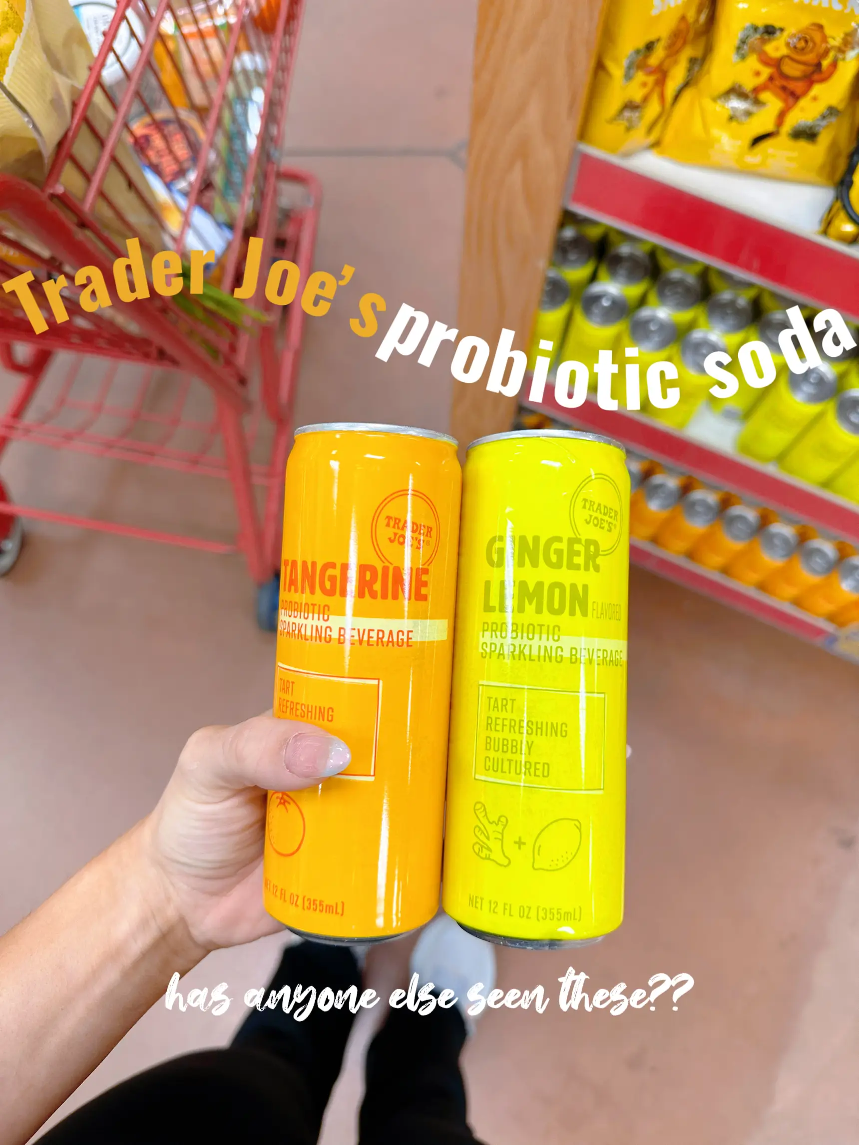 Trader Joe’s take on Olipop and Poppi?? | Gallery posted by Kailey Viray | Lemon8