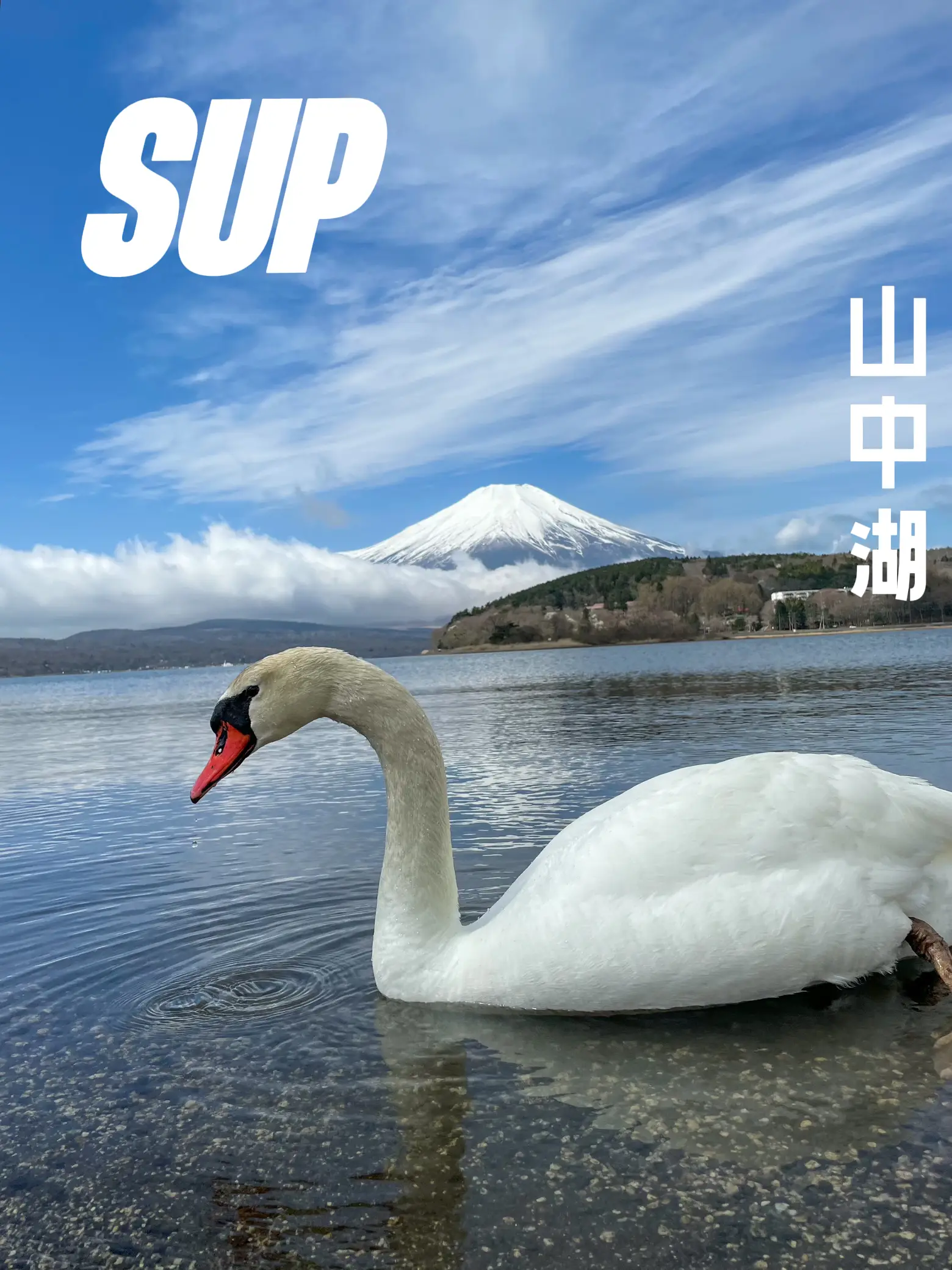 SUP ที่ทะเลสาบยามานากะ | แกลเลอรีที่โพสต์โดย moco | Lemon8
