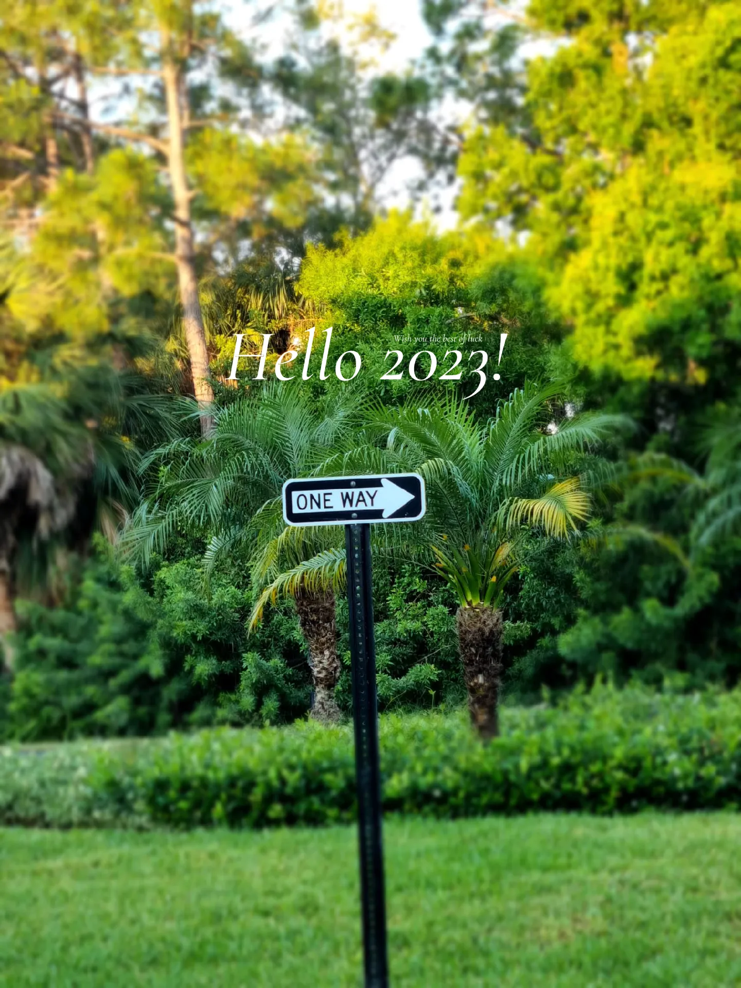 Hello 2023! | แกลเลอรีที่โพสต์โดย Eva in Sweden | Lemon8