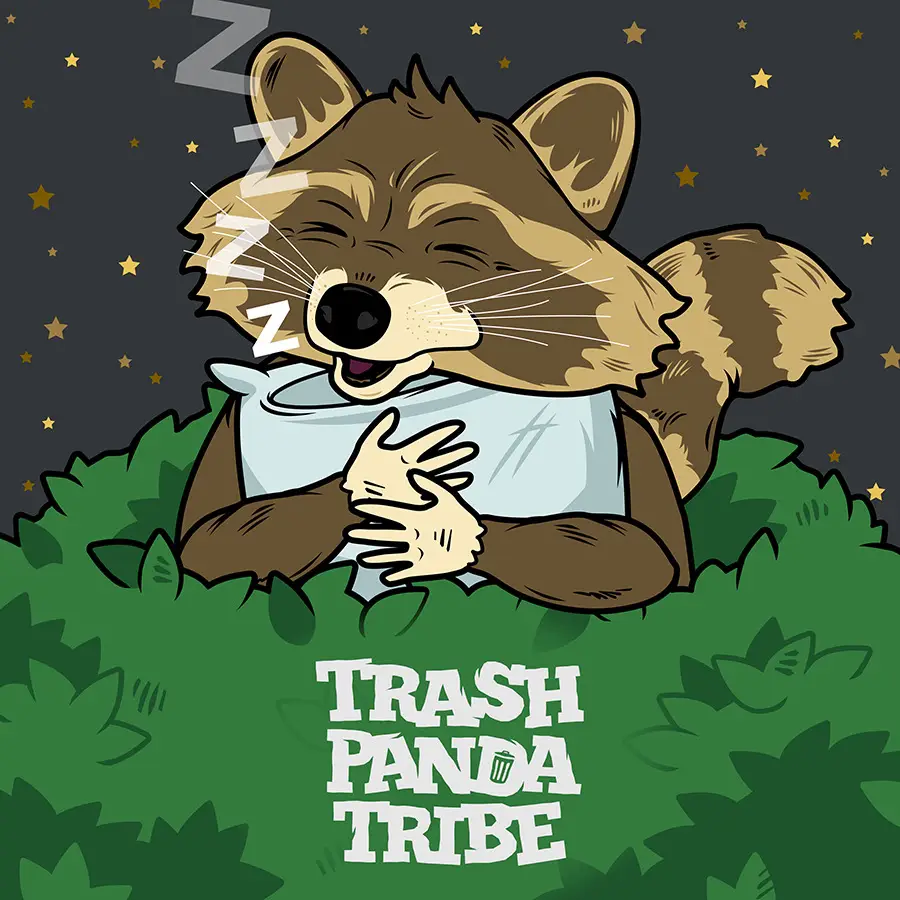 GN, NFters 🦝😎 | Gallery posted by TrashPandaTribe | Lemon8