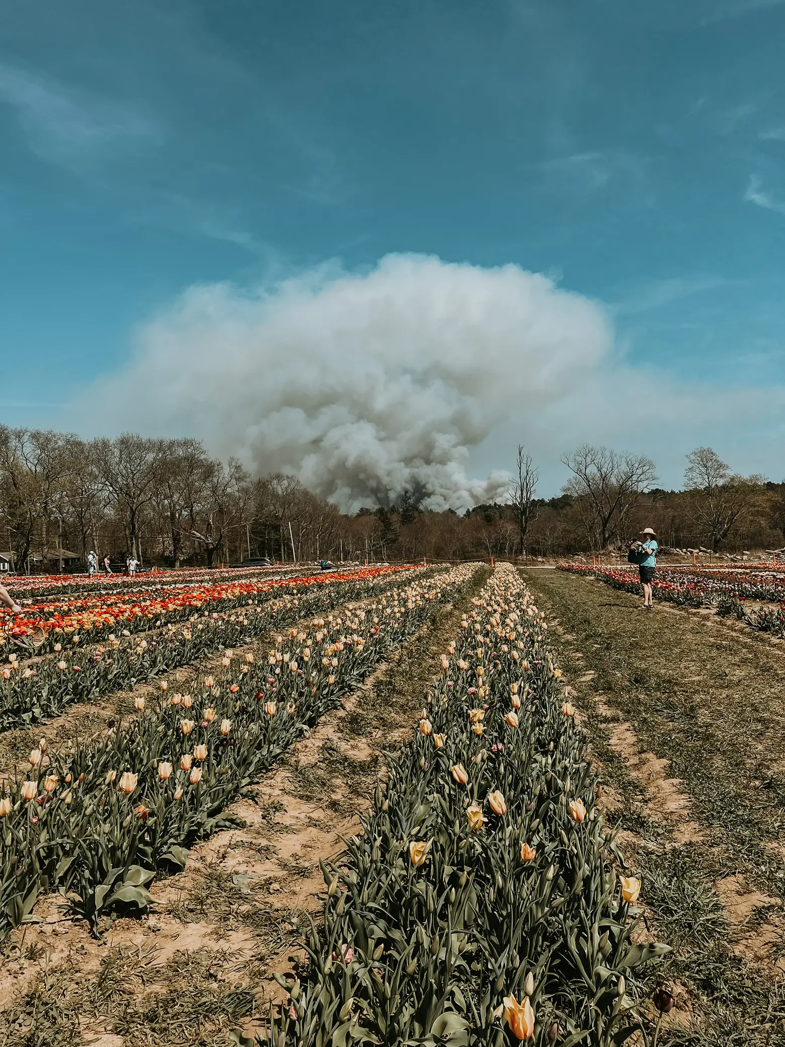 wildfires in rhode island | Gallery posted by shaina 🌈 | Lemon8