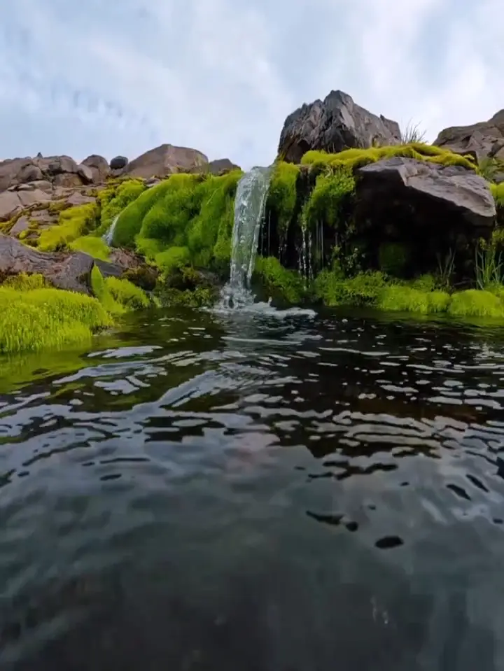 Clear stream water | Video published by MuMu&Jo | Lemon8