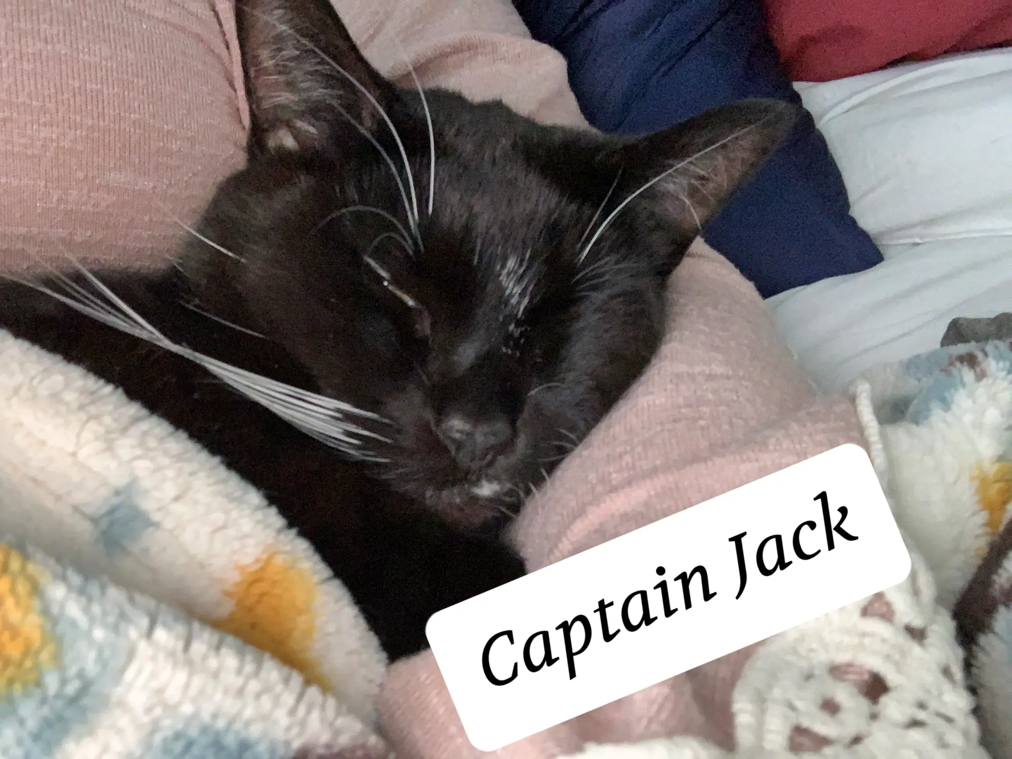 Get to know me! Hi! I’m Carissa, new to Lemon8 :) | Gallery posted by Rissi_28 | Lemon8