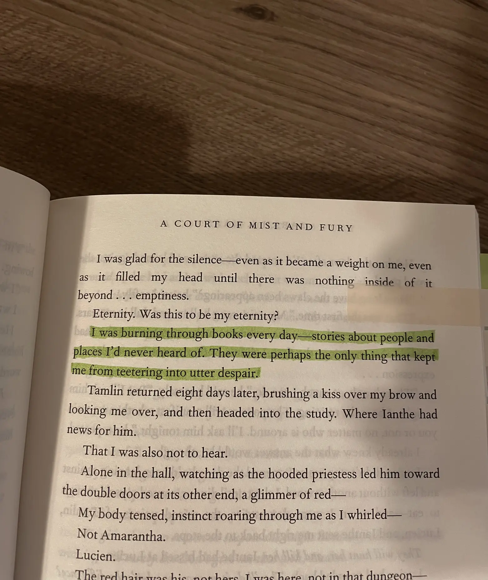 ACOMAF annotations 🦇 🧚🏻‍♀️🏔️🌙 | Gallery posted by Kimberly 🦋 | Lemon8