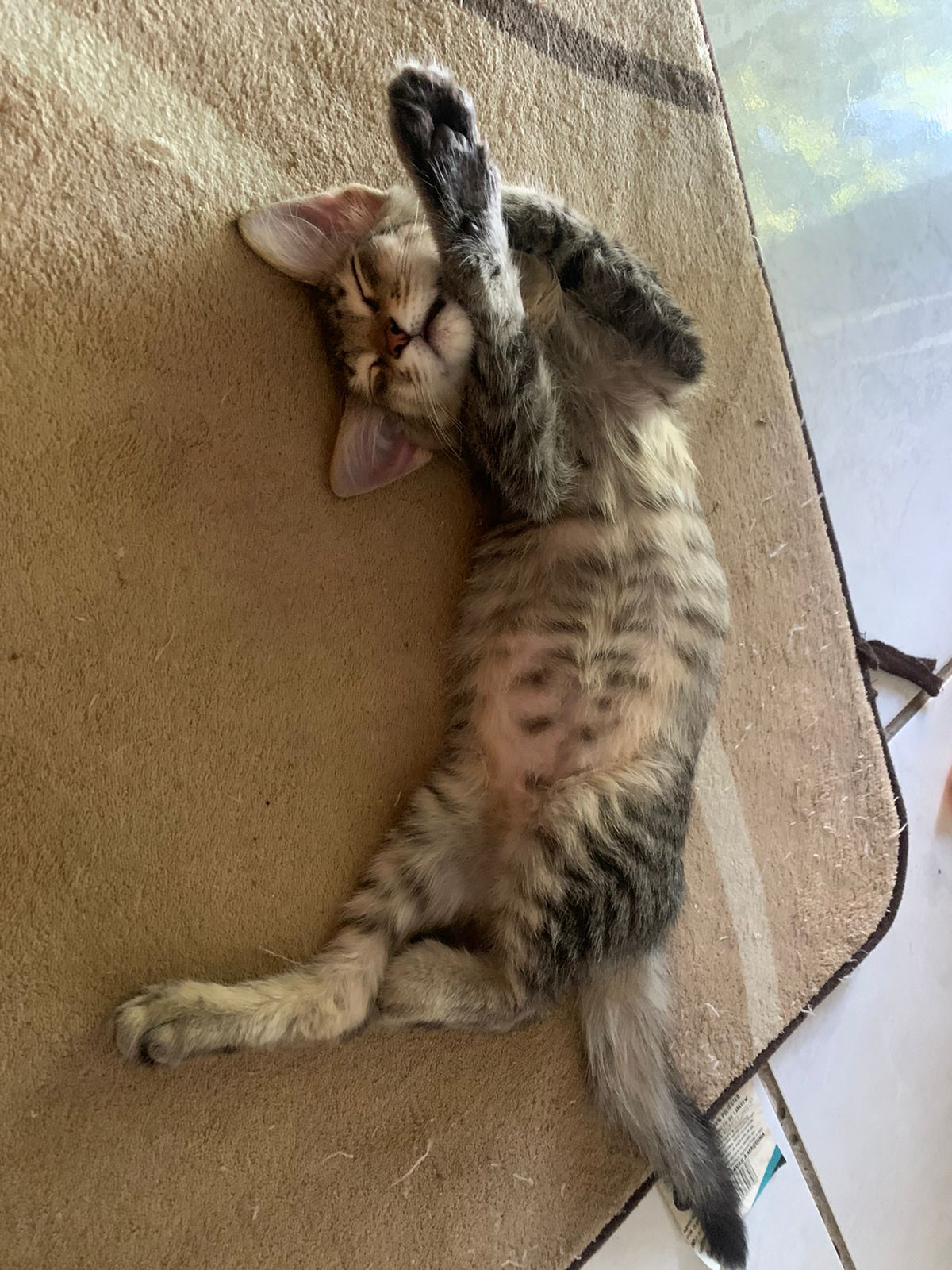 crflamengo posted a contributi | Gallery posted by Rodrigo | Lemon8