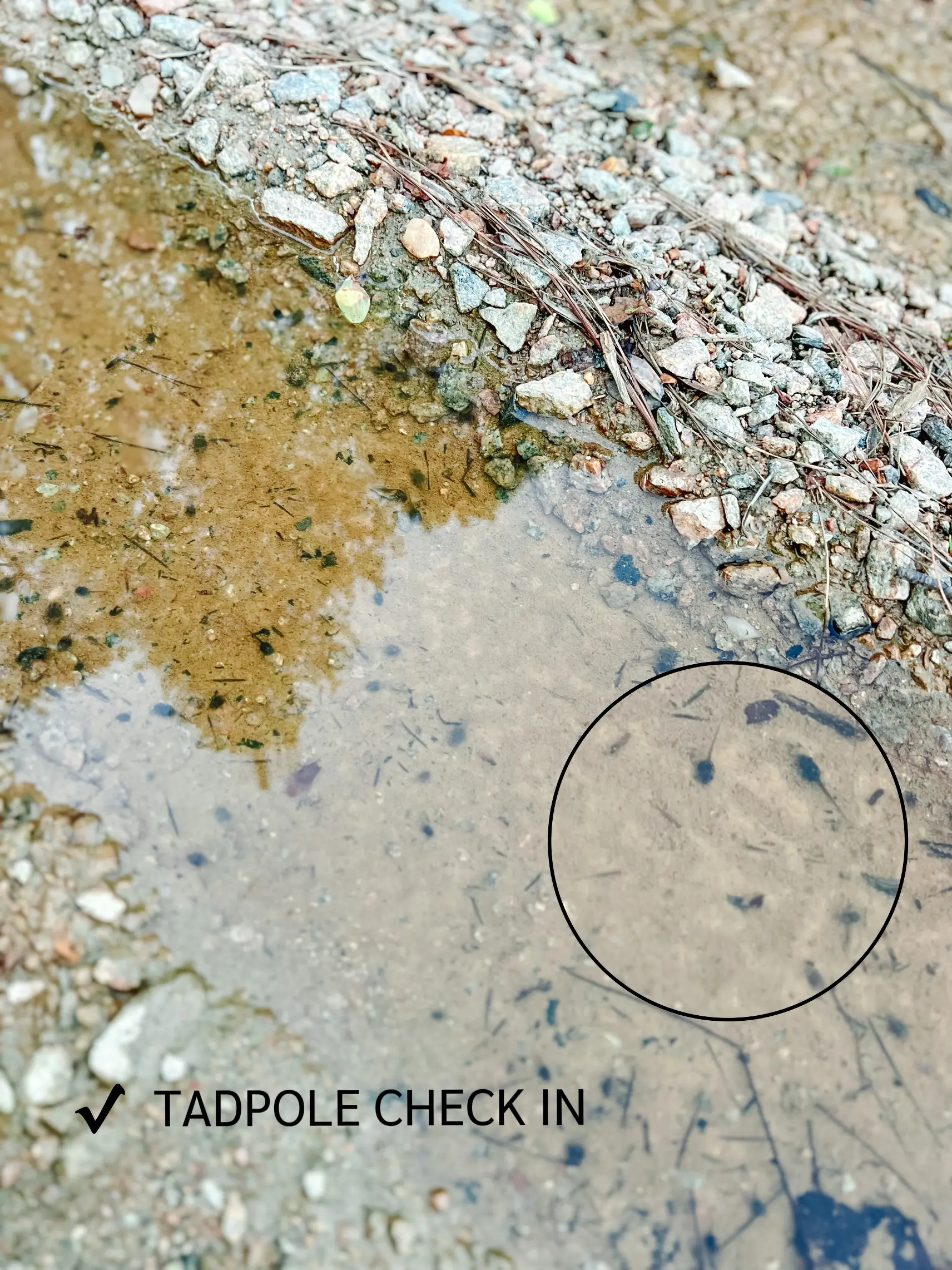 A night spent on our future homestead 🚜 | Gallery posted by Diana Tyson | Lemon8