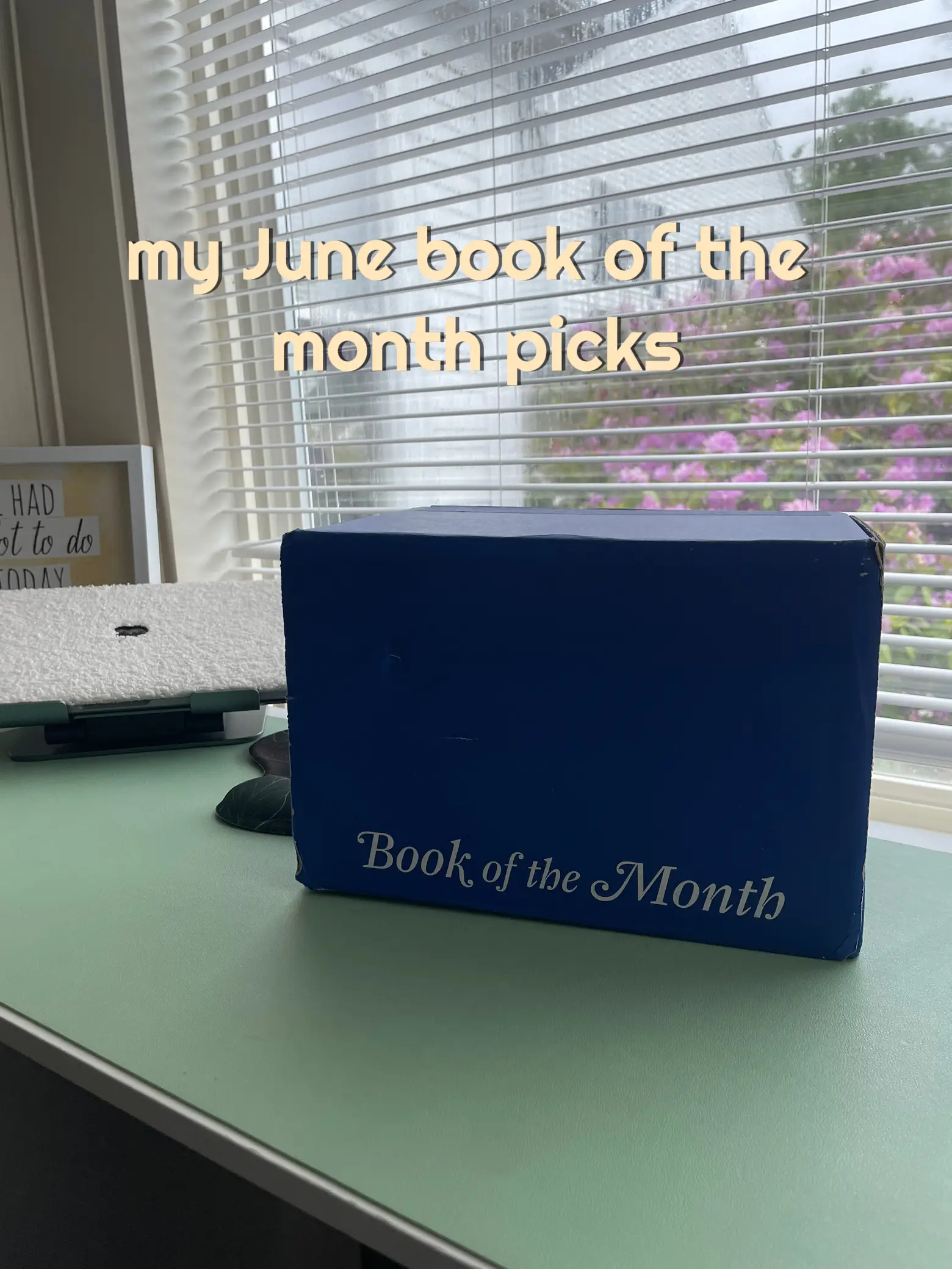 my June book of the month | Gallery posted by dayshia andrade | Lemon8